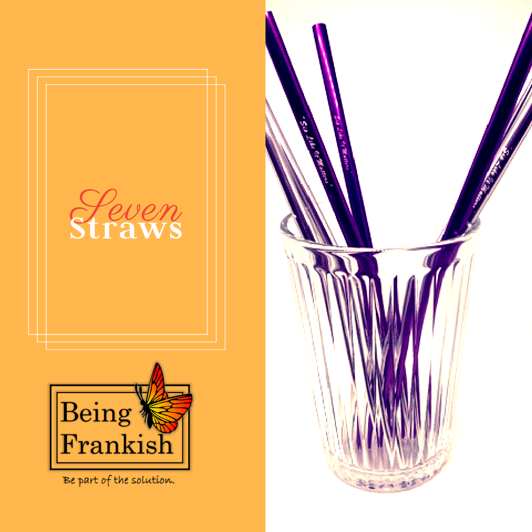 Eco Friendly Aluminum Straw that Gives Back