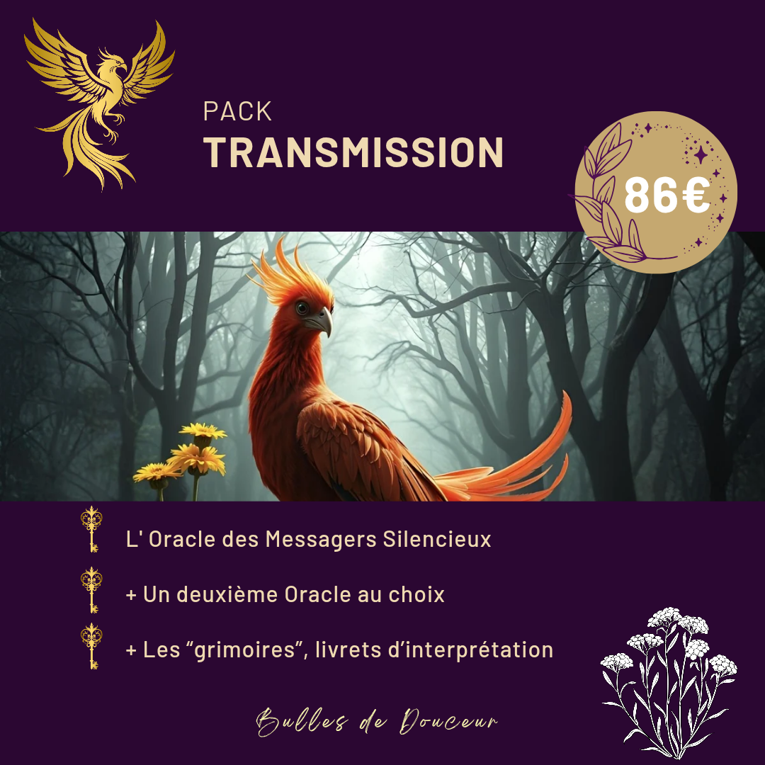 Oracle des Messagers Silencieux - Ulule