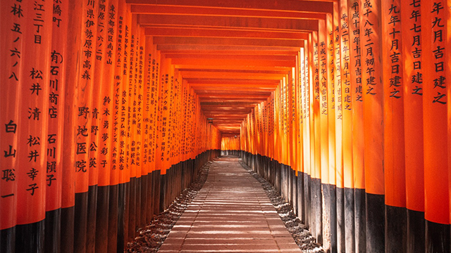 Pierre van den Berg - Ulule