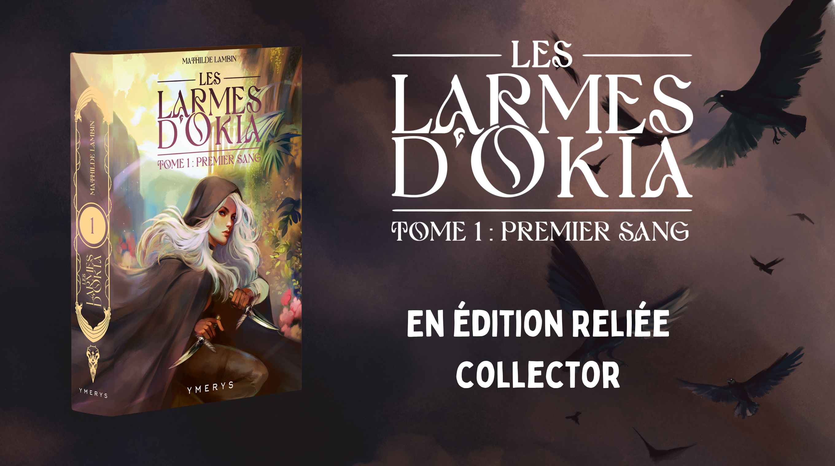 ECHO - Edition reliée collector - Ulule