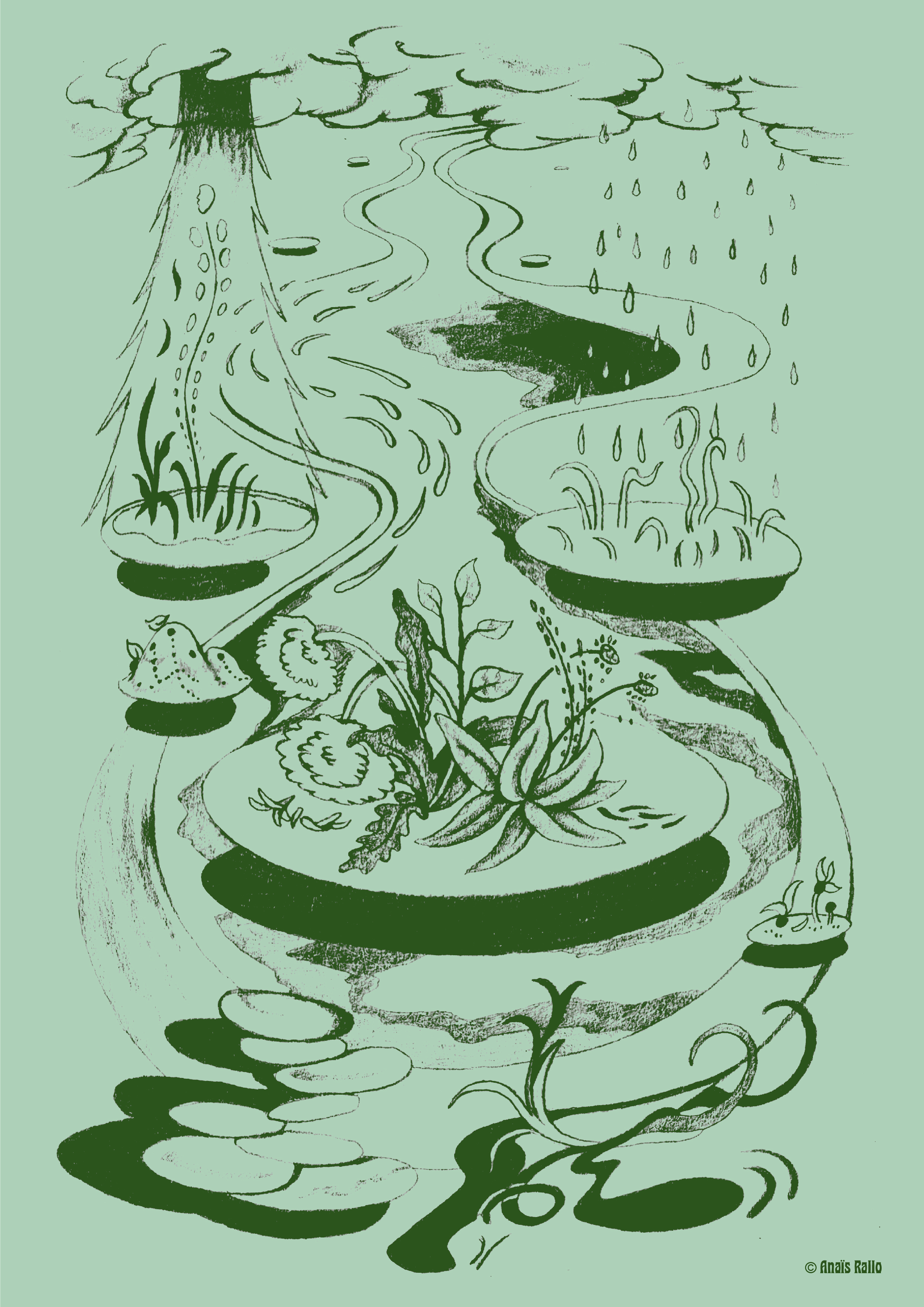 Cui-Cui sauvage, le fanzine qui explore la forêt sauvage - Ulule