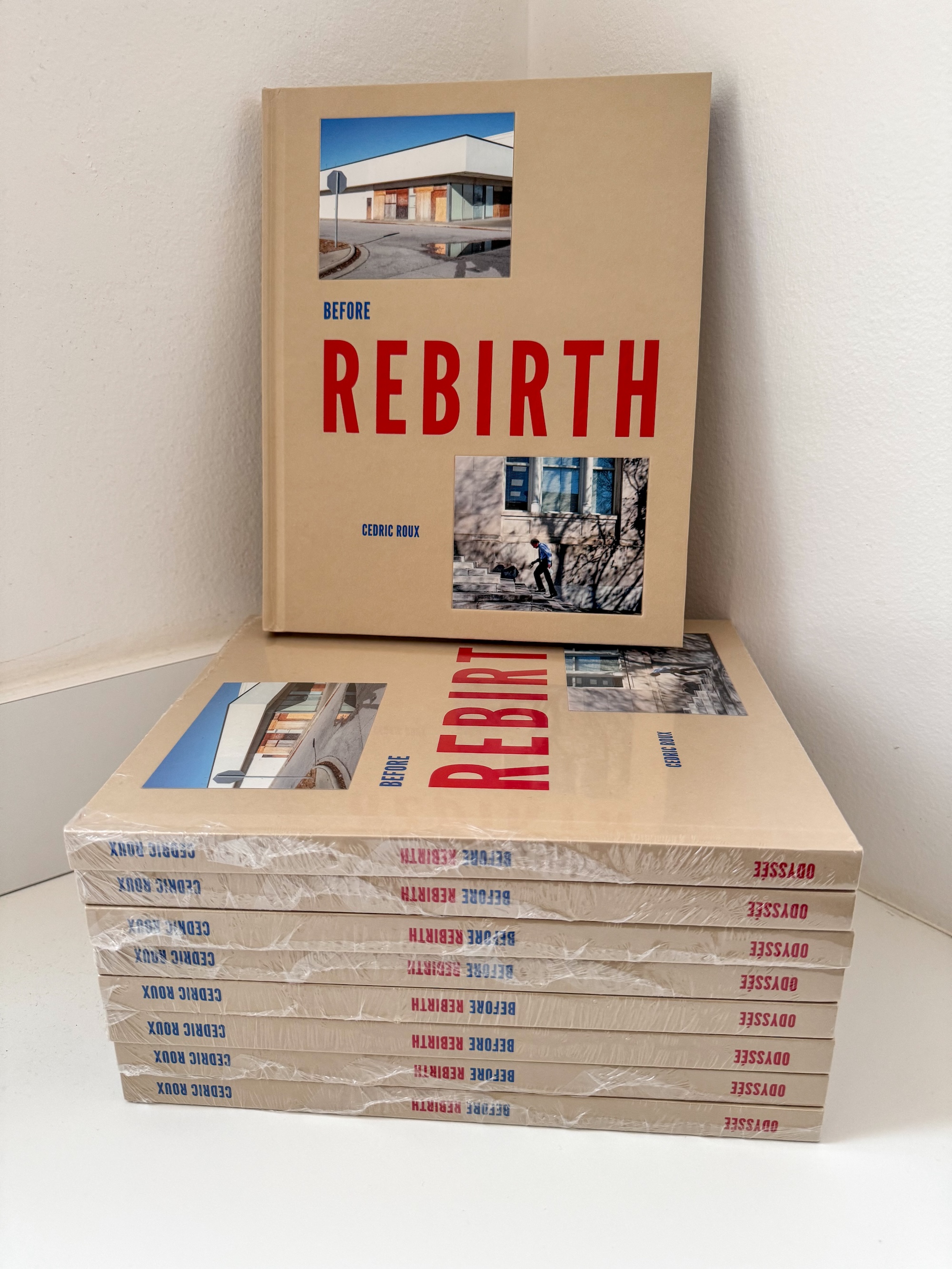 BEFORE REBIRTH / Cédric Roux - Ulule