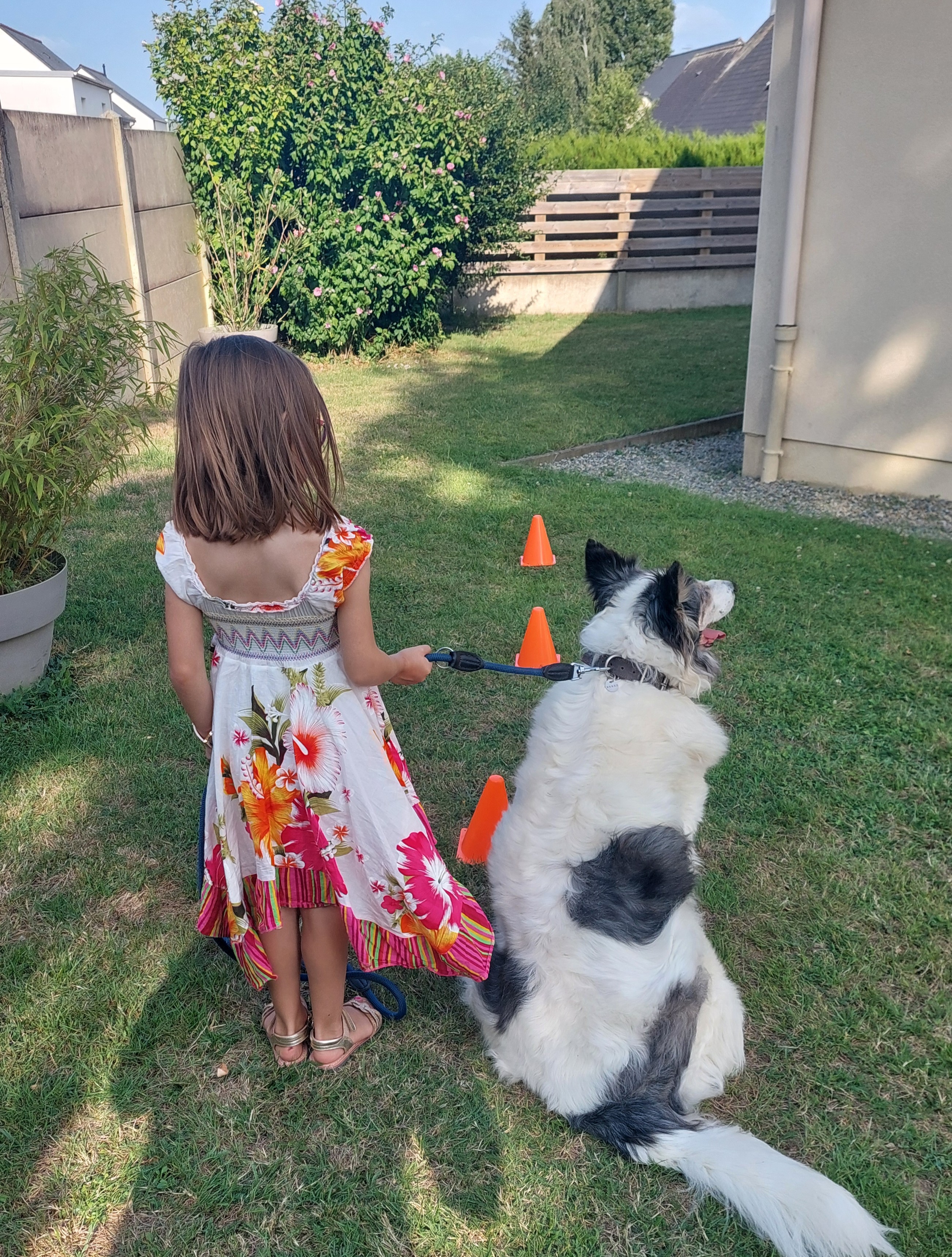 Ensemble, créons du lien grâce aux animaux - Ulule