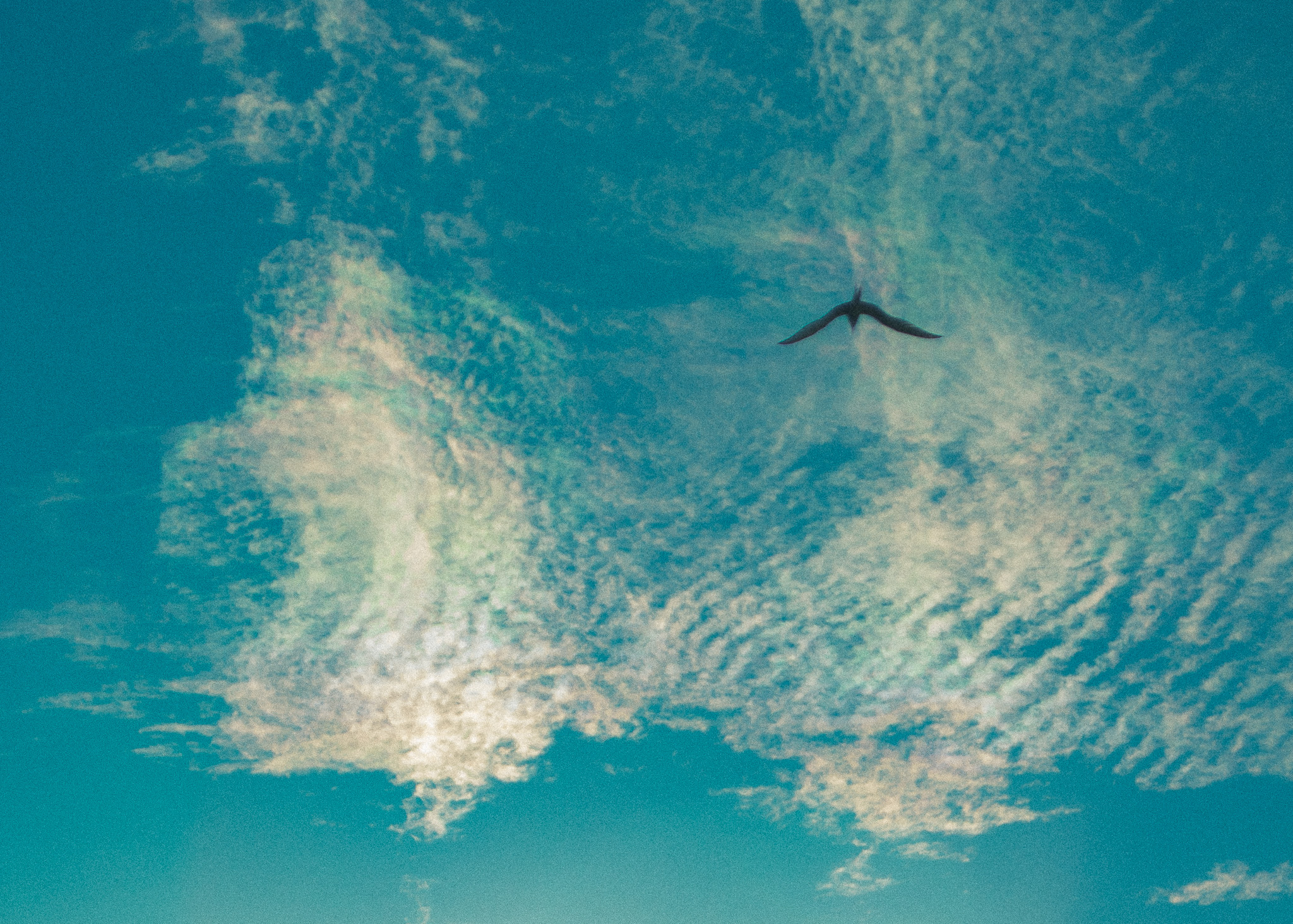 Saison de mousson – Une traversée visuelle et poétique - Ulule