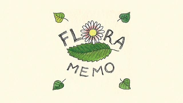 debora-castorina - Ulule