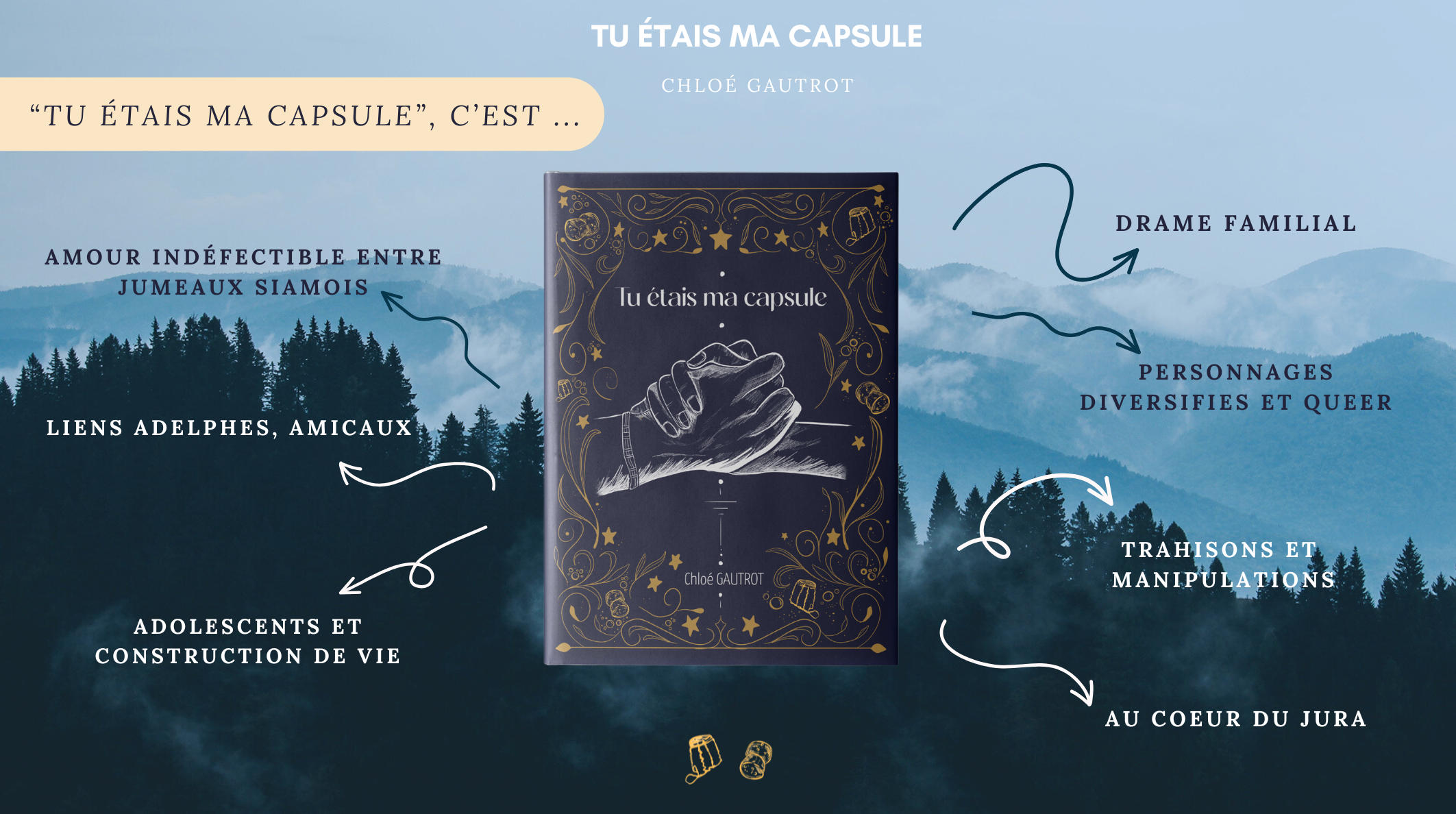 Tu étais ma Capsule, le roman