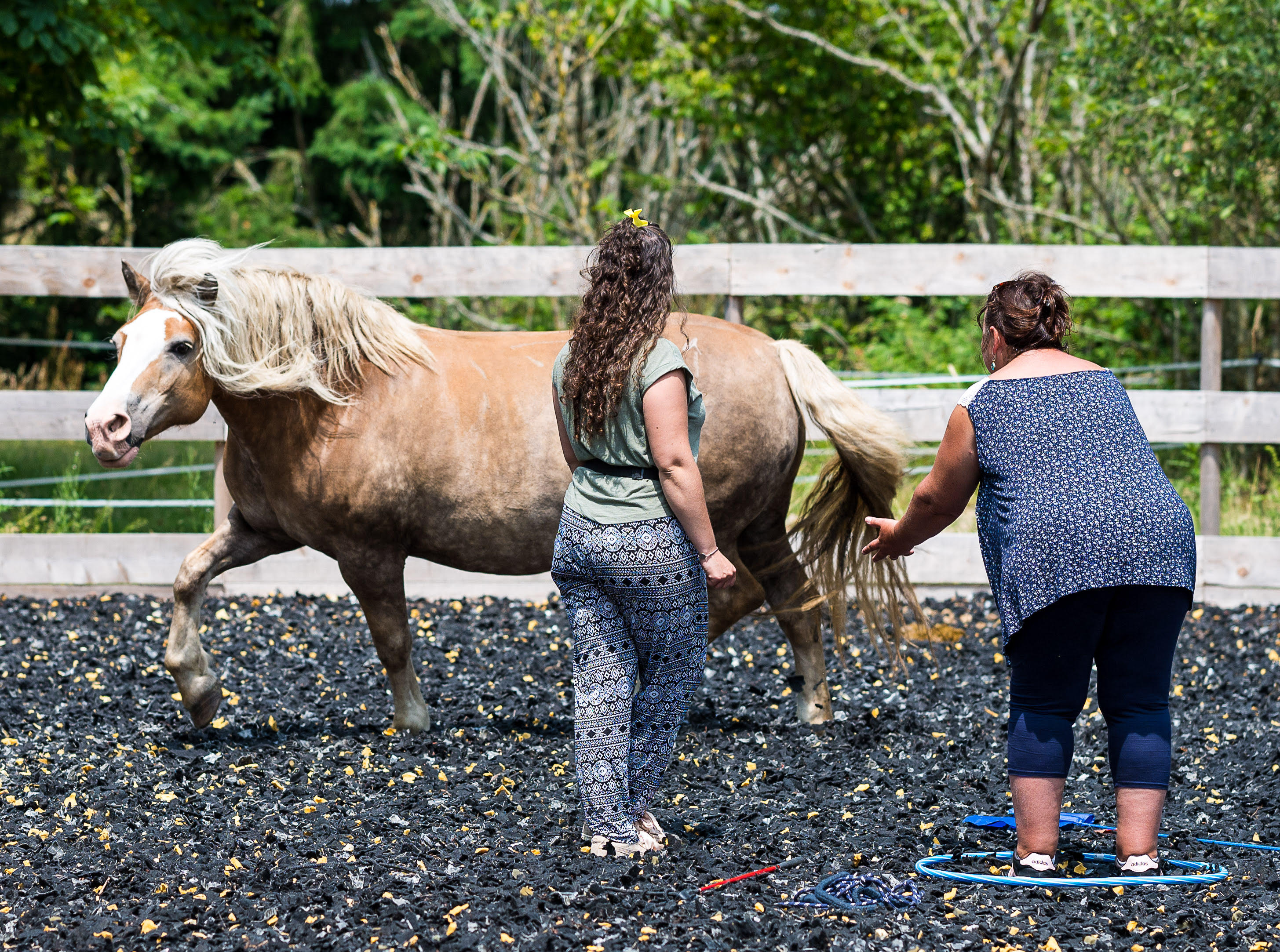 ANIM'ENVOL: Centre de Zoothérapie dans l'Indre - Ulule
