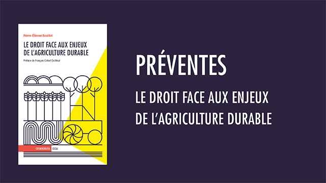 Daniel Dixneuf - Ulule