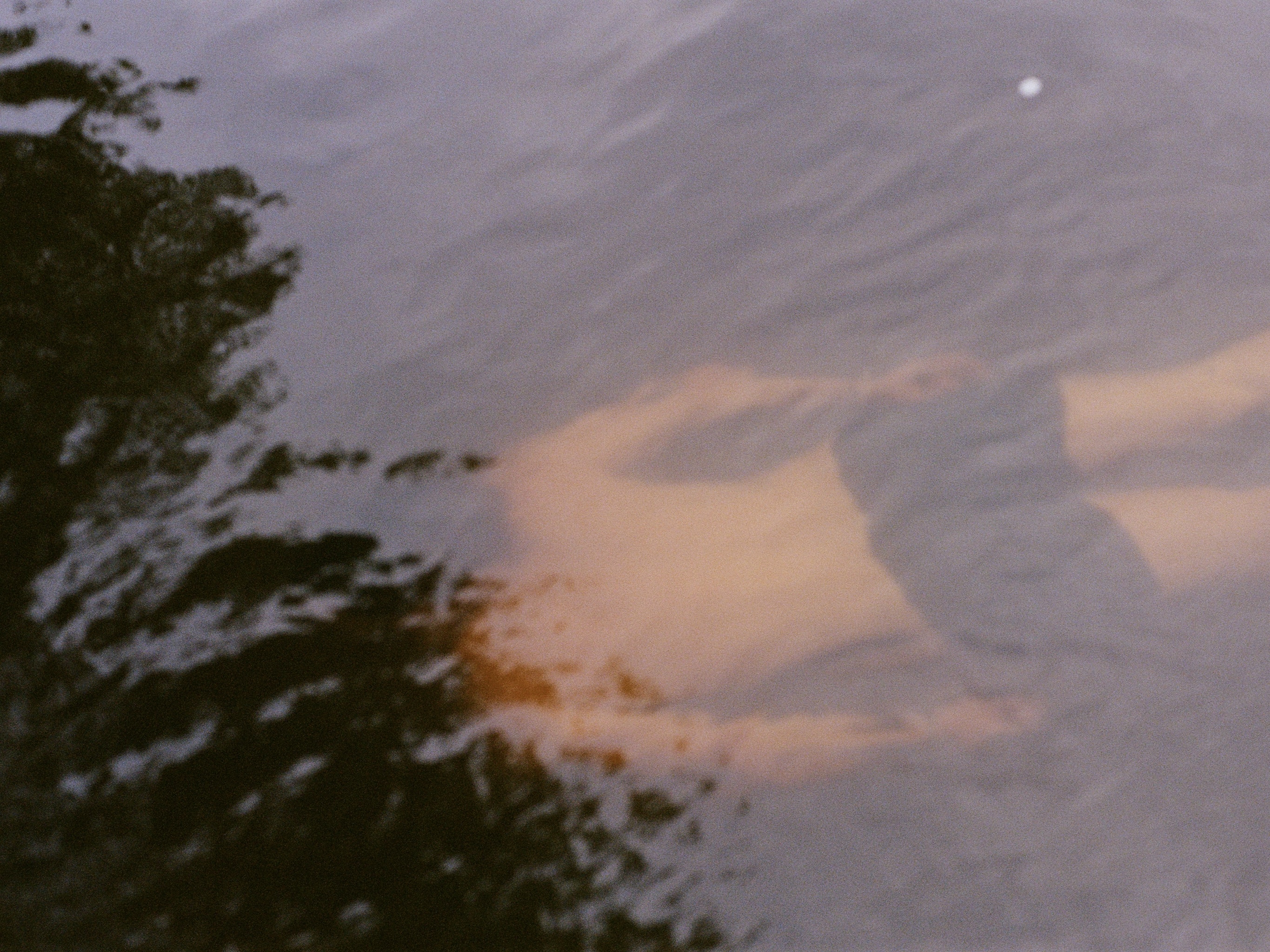 LEATHER FOREVER - Ulule