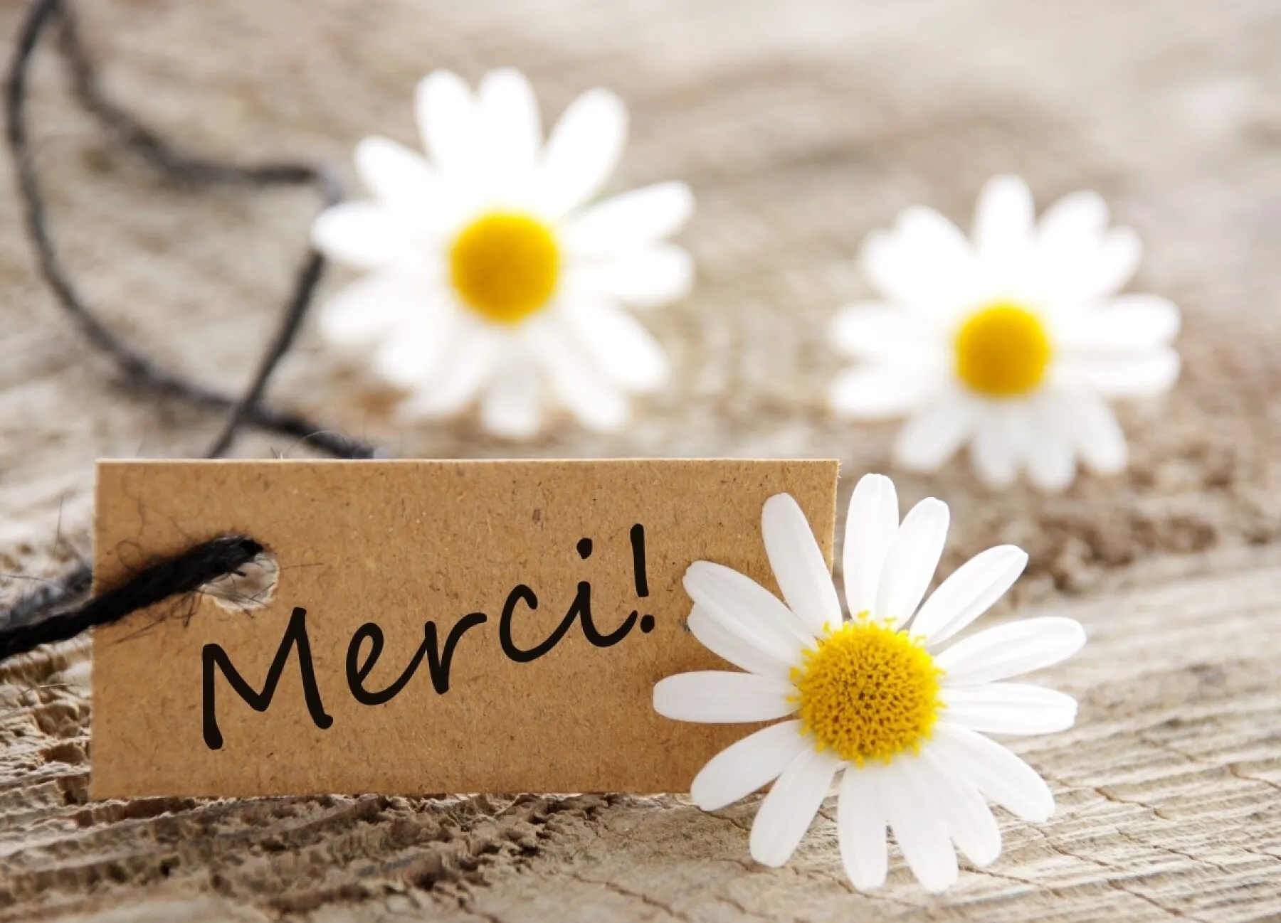 Offrons une première Chance à "Une Dernière Chance"