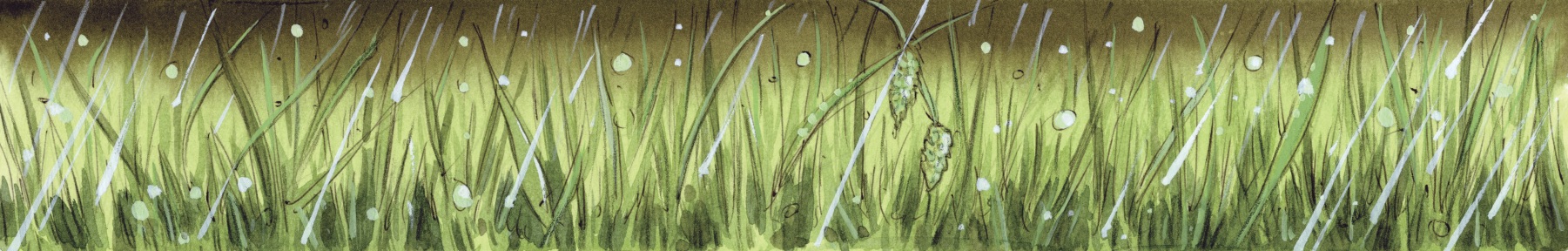 Les Chroniques de Louise Pembleton T.2 - Ulule