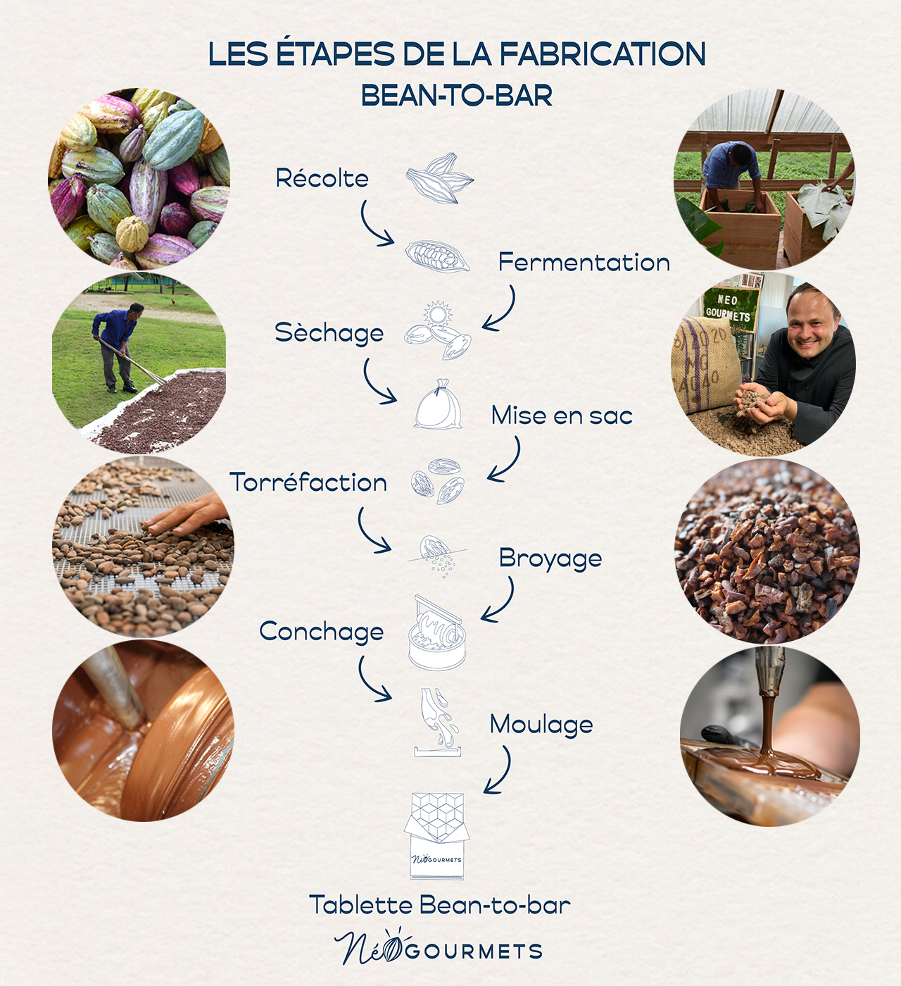 Les étoiles de Noël - la gourmandise magique ! - Ulule