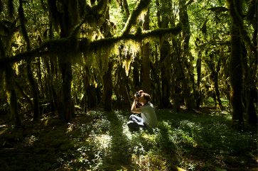 "À pas feutrés" Nouveau livre engagé pour la nature - Ulule