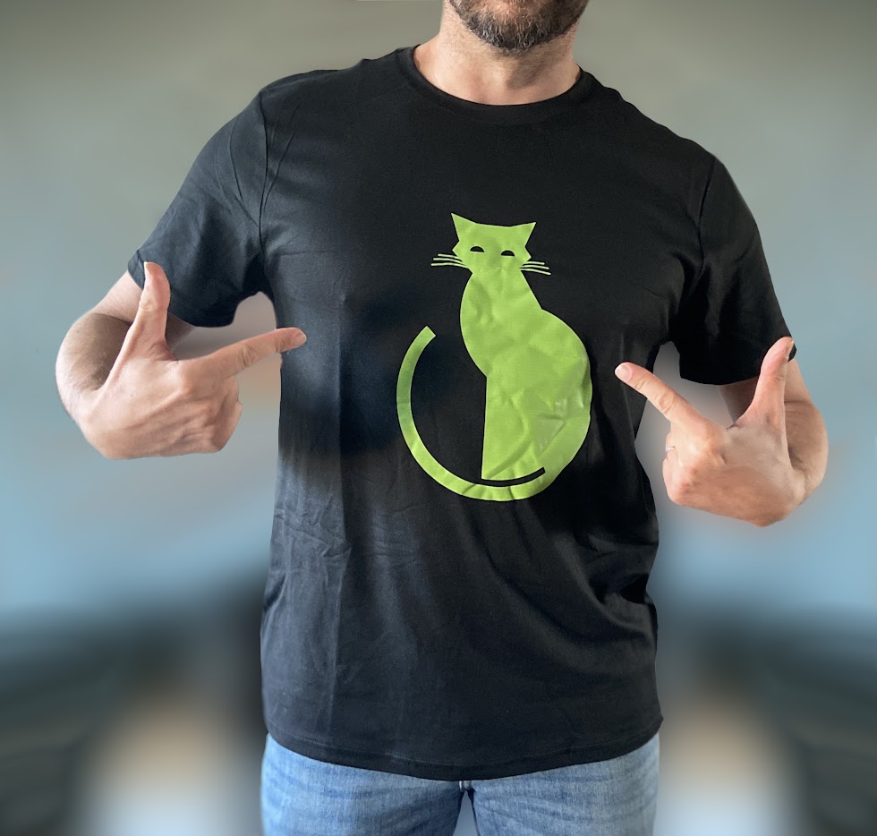 Les Chroniques du Chat Vert : BD et musique - Ulule