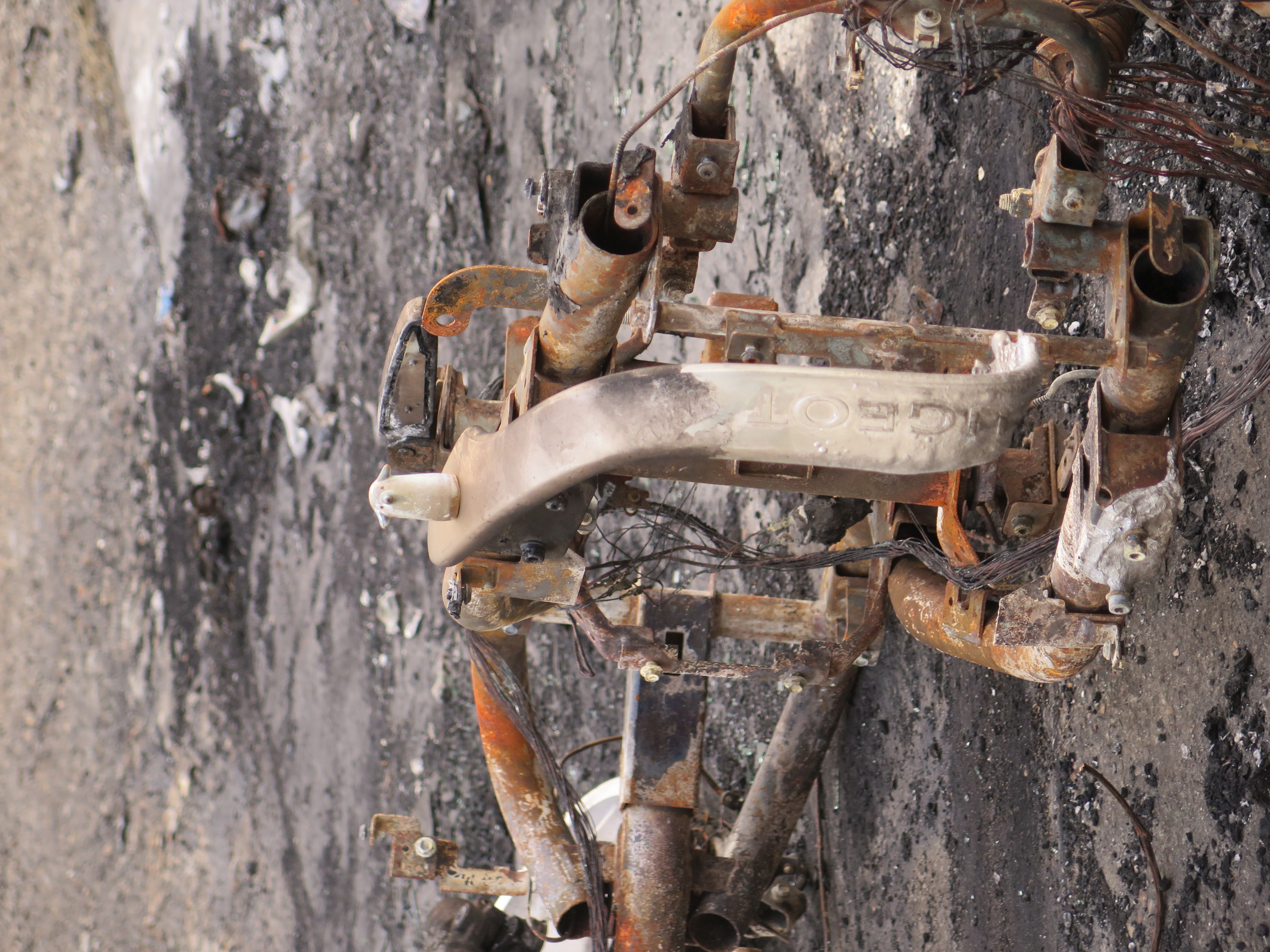 Aider au financement de mon barnum et mon stand