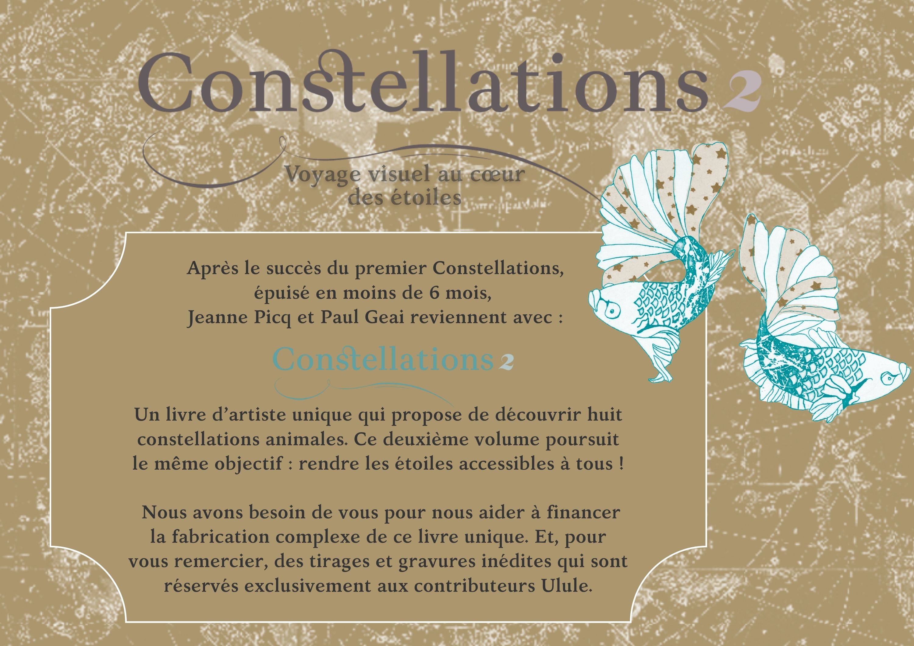 Constellations 2 - Voyage visuel au cœur des étoiles - Ulule