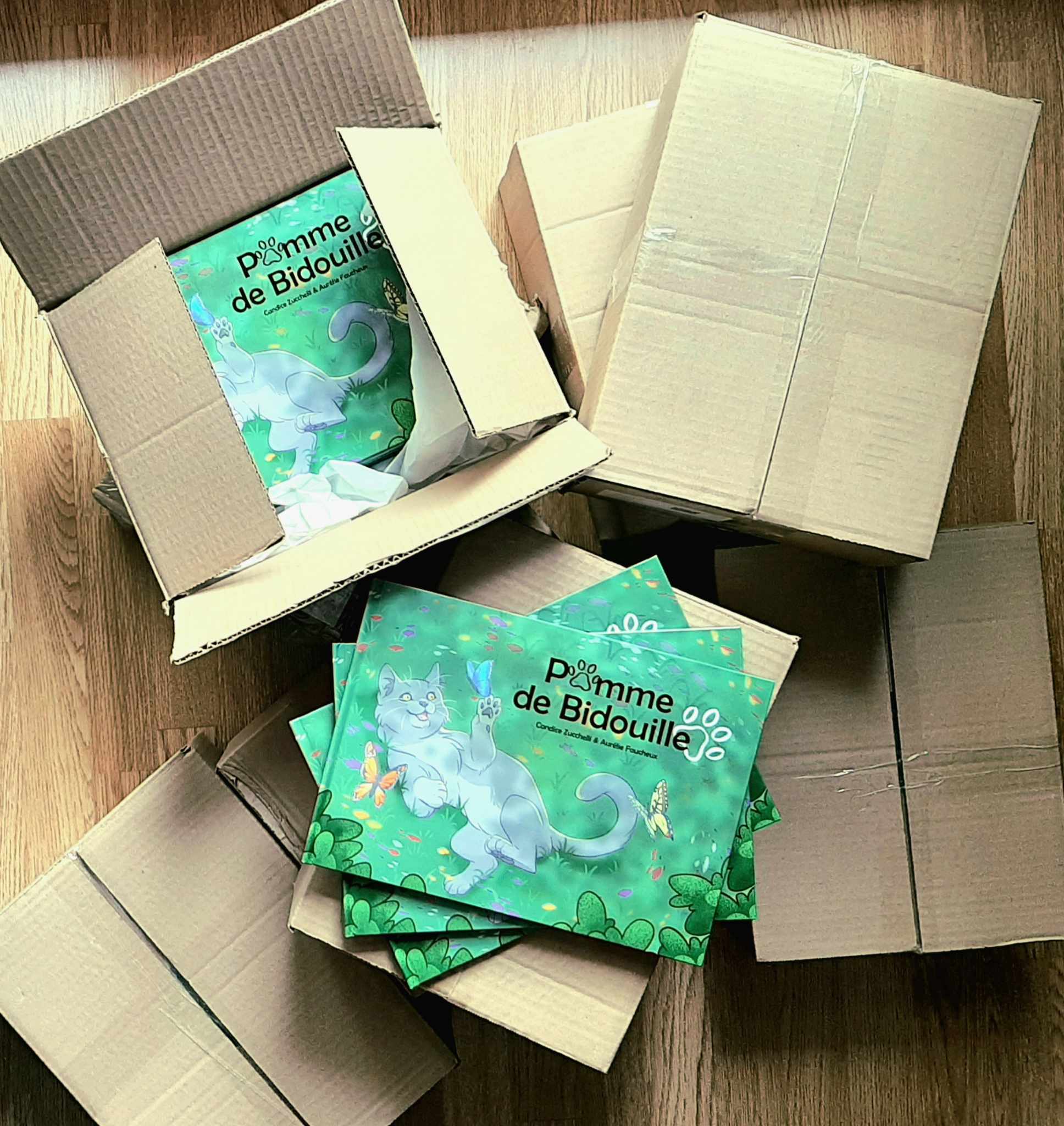 Pomme de Bidouille - Ulule