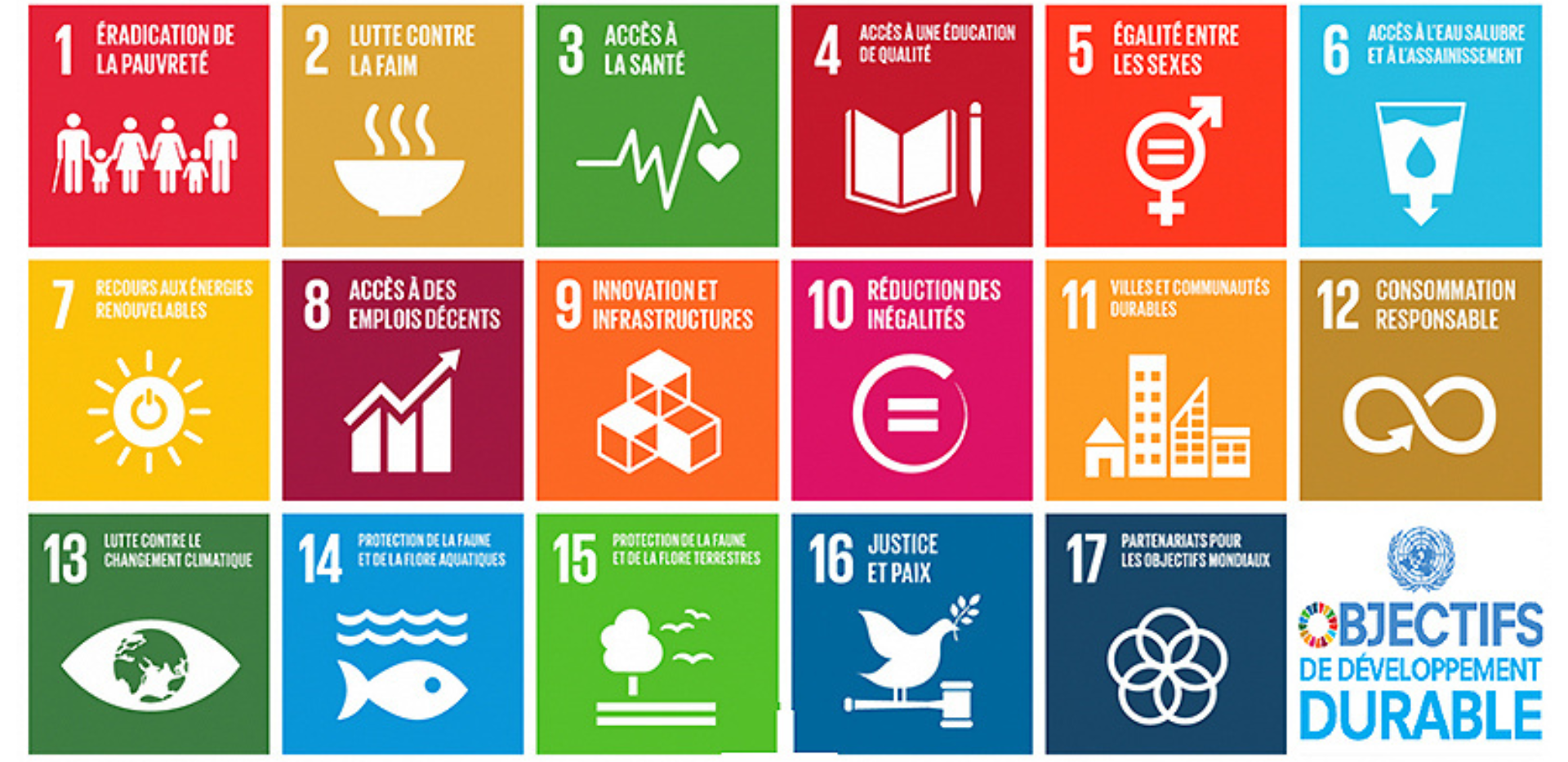 Choisis Ta Planète TV, plateforme vidéo connectée au vivant. - Ulule