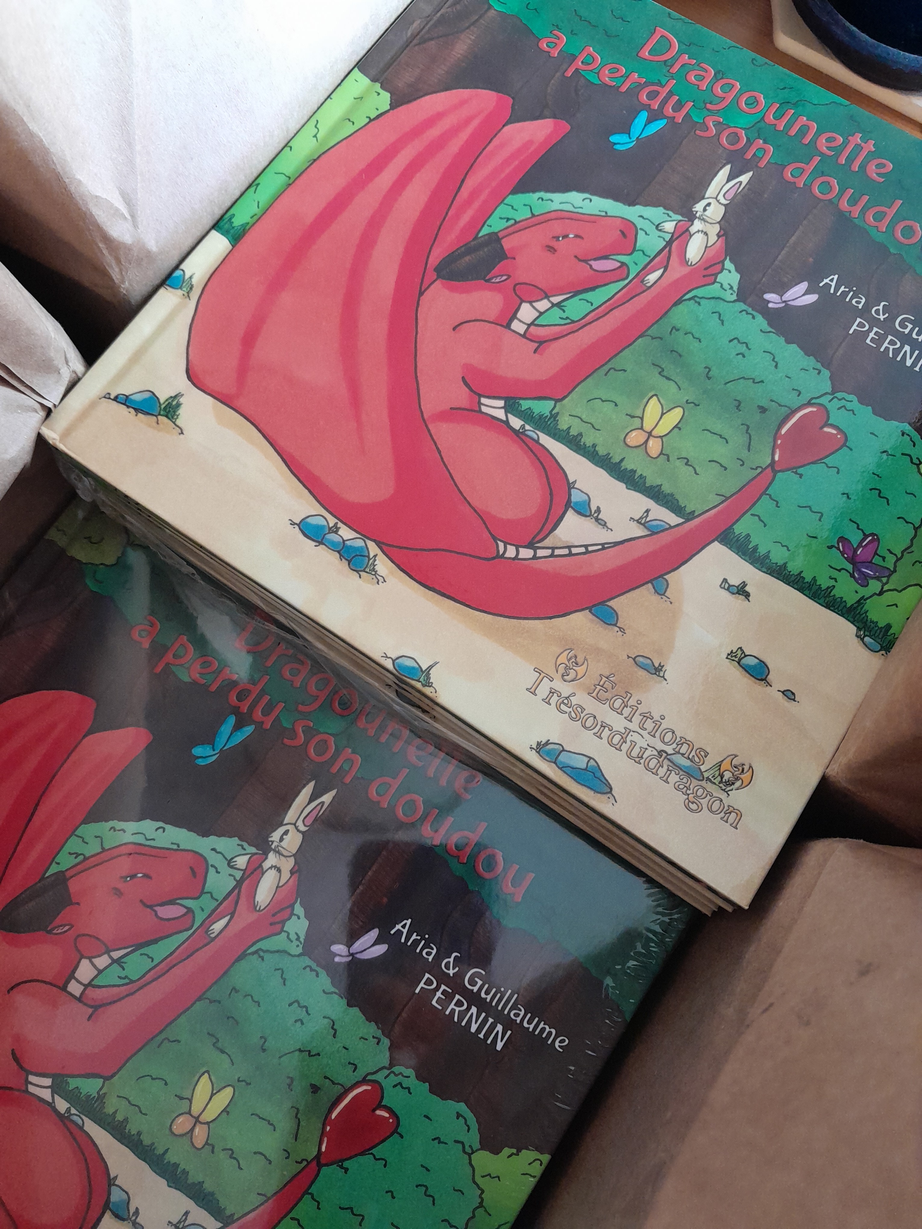 Album jeunesse Dragounette a perdu son doudou - Ulule