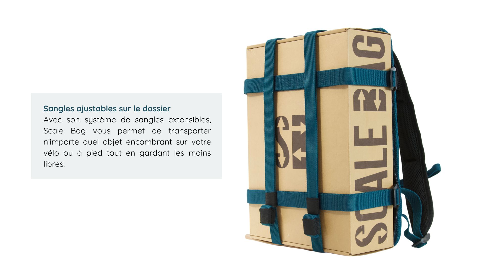 Sac cargo Scale Bag - Ulule