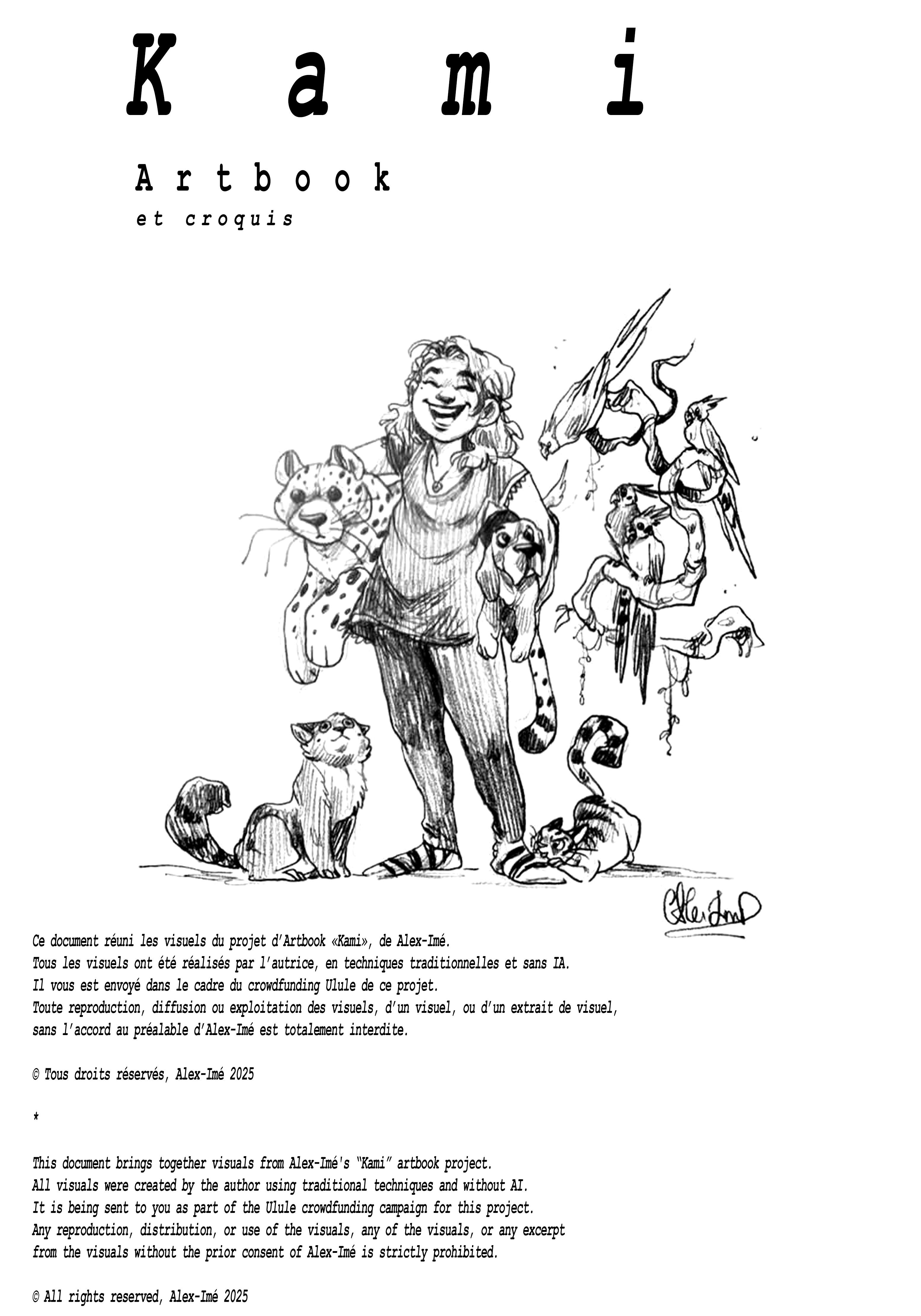 Kami, Artbook et croquis - Ulule