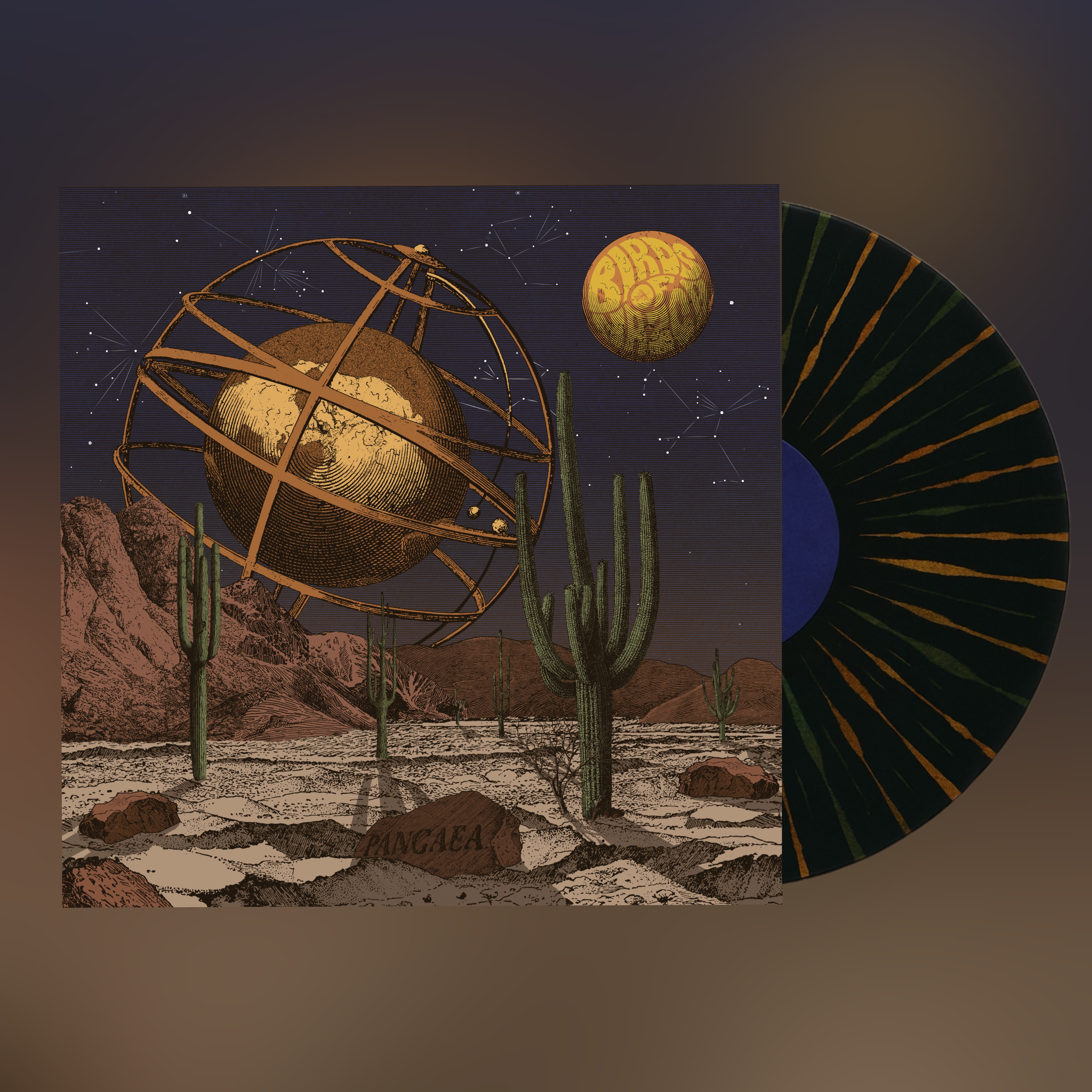 BIRDS OF NAZCA : nouvel album en vinyle - Ulule