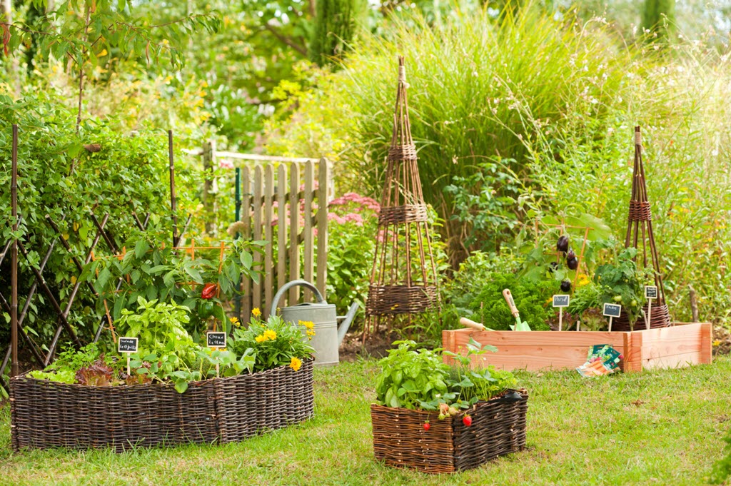 🌿 Entreprise d'espaces verts locale et écoresponsable