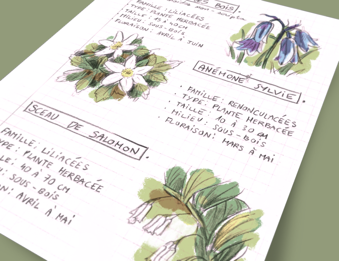 Derrière les Iris - une BD nature ! - Ulule