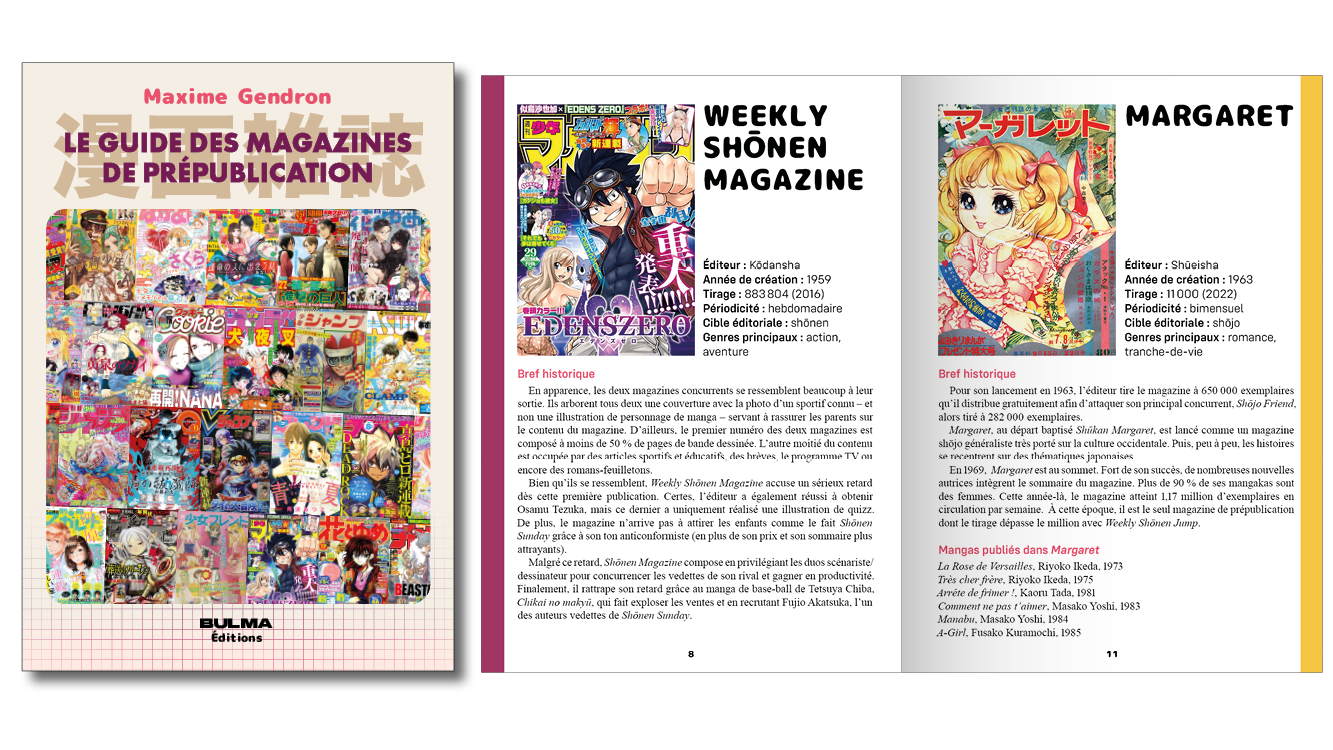 One Piece : l'art de raconter une histoire - Ulule