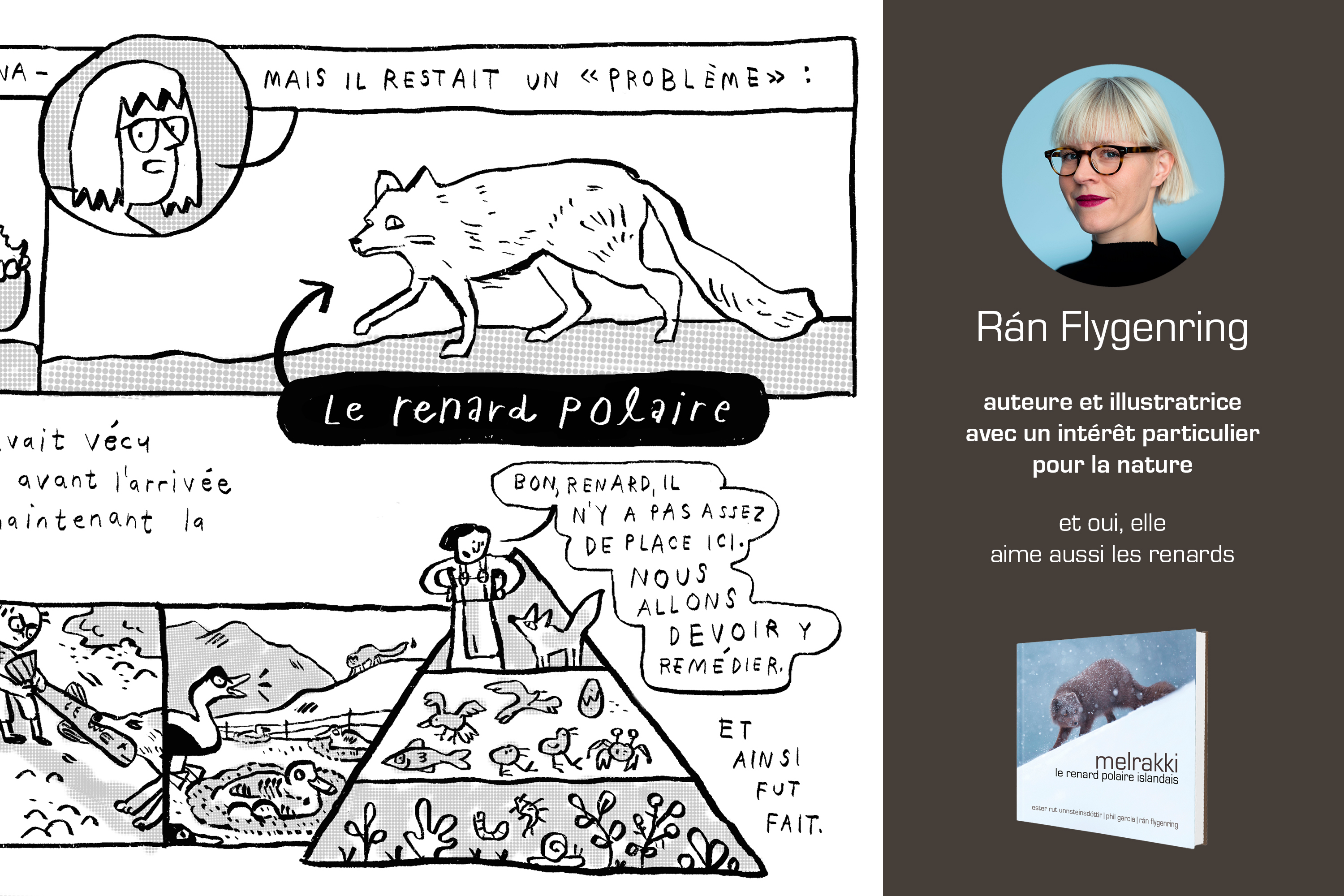 Melrakki, le renard polaire Islandais (V2.0) - Ulule
