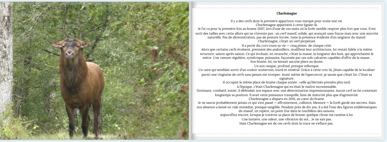 Hermès et les autres chroniques d'une forêt vivante - Ulule