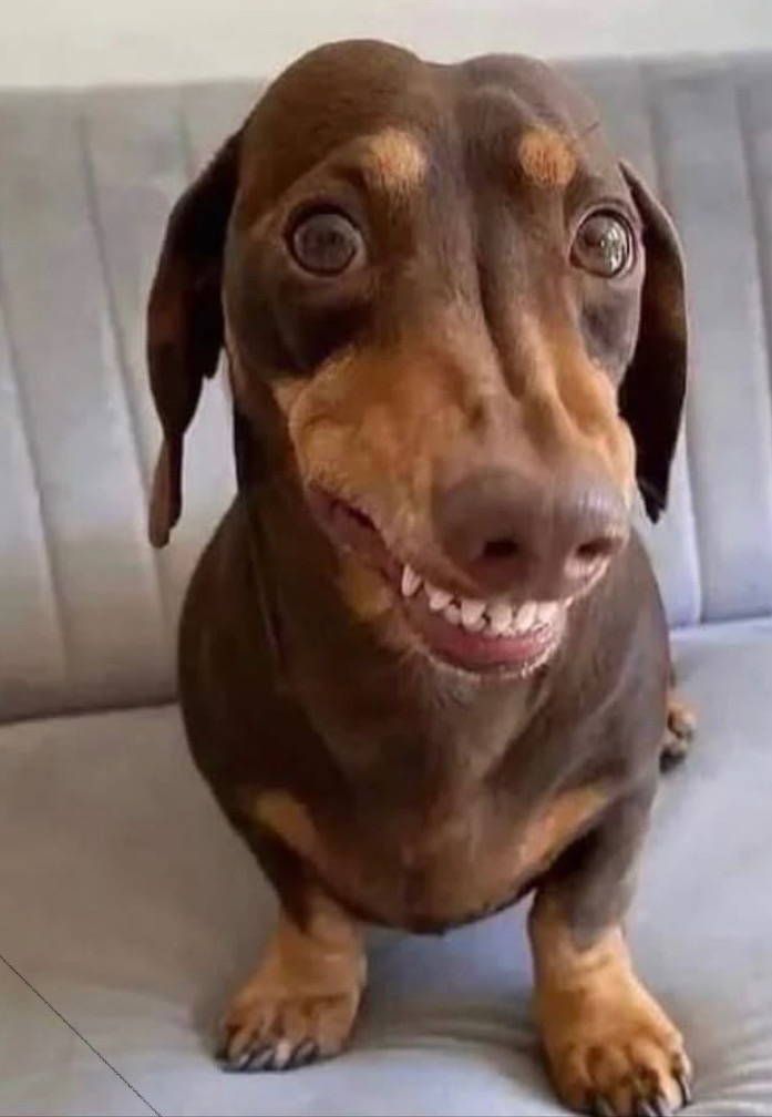 Cecil L. Recchia / #4 NOUVEL ALBUM !! - Ulule