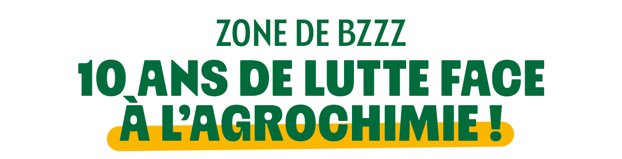 Zone de Bzzz fête ses 10 ans ! - Ulule