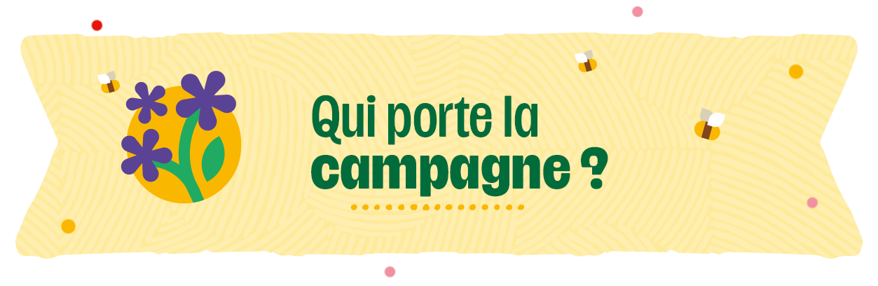 Zone de Bzzz fête ses 10 ans