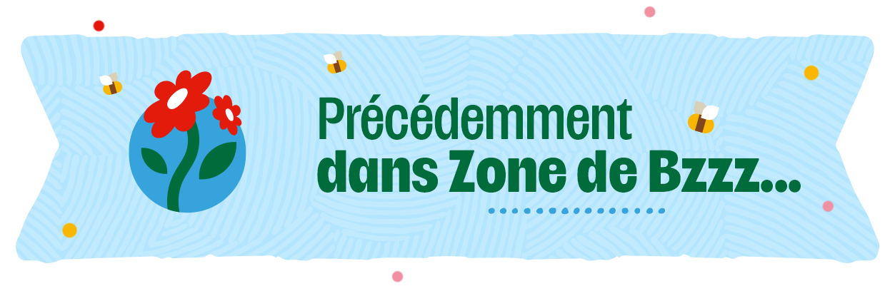 Zone de Bzzz fête ses 10 ans