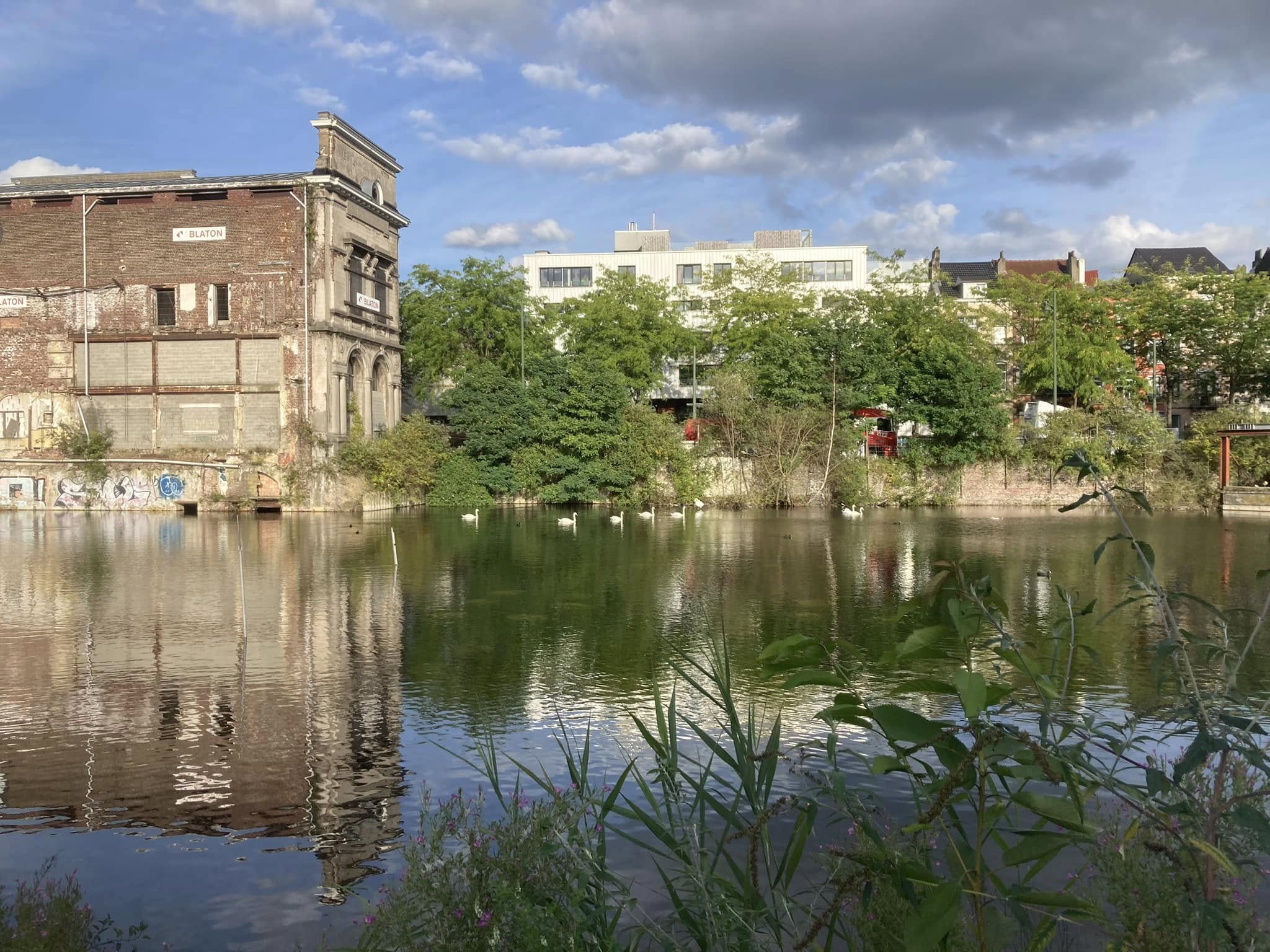 Sauvez les derniers espaces naturels bruxellois avec nous