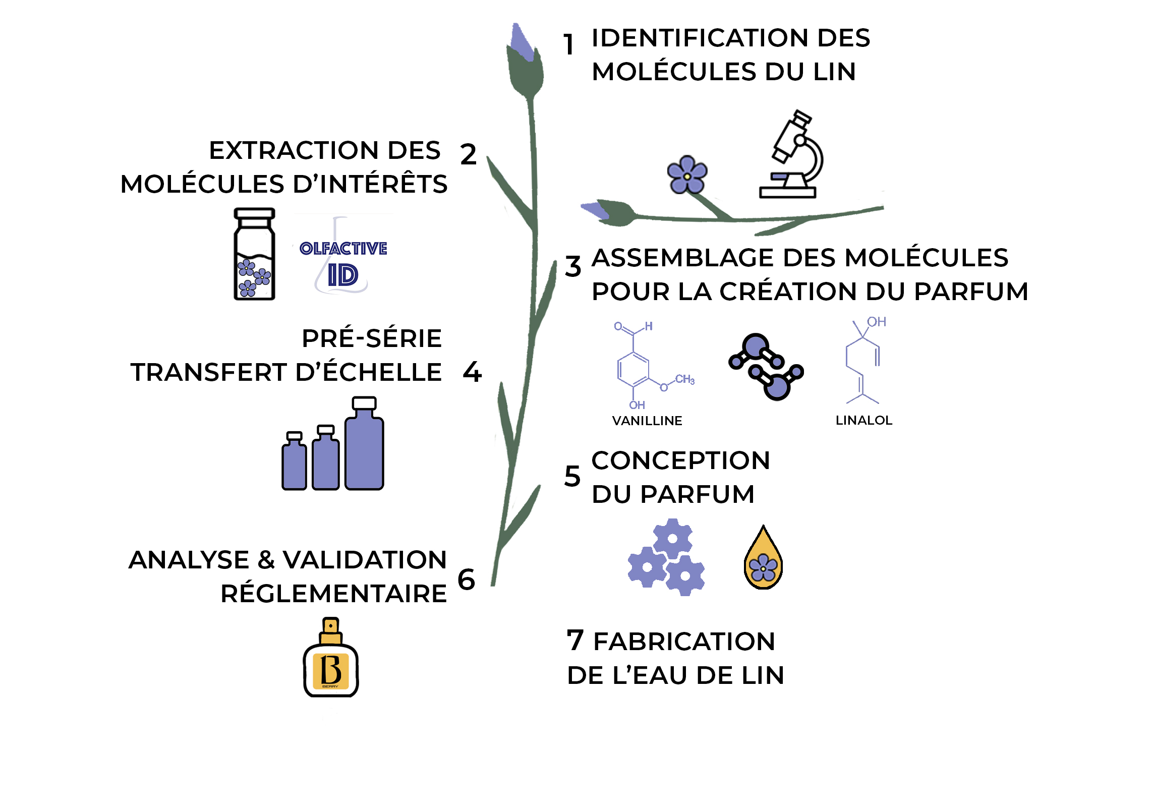 Quand le lin devient parfum - Ulule