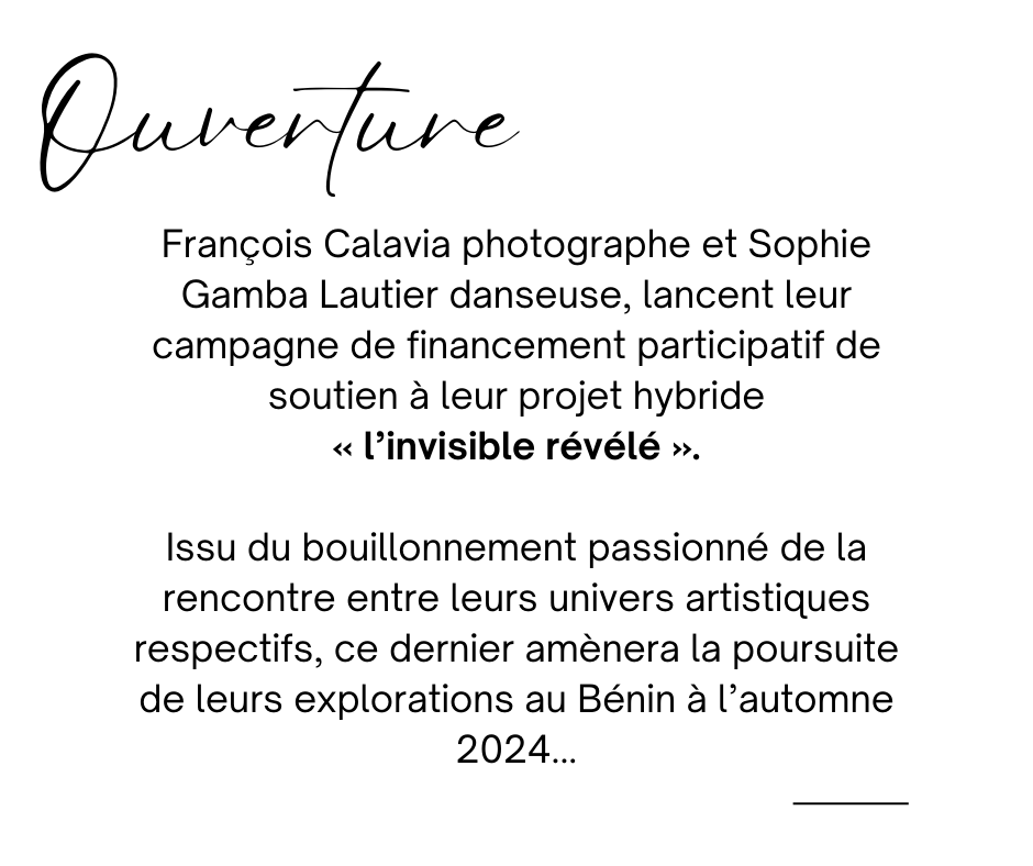 L'invisible Révélé