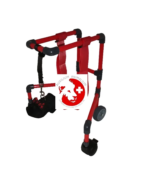 Créer un Kit Trotteur/Chariot pour petits animaux handicapés - Ulule