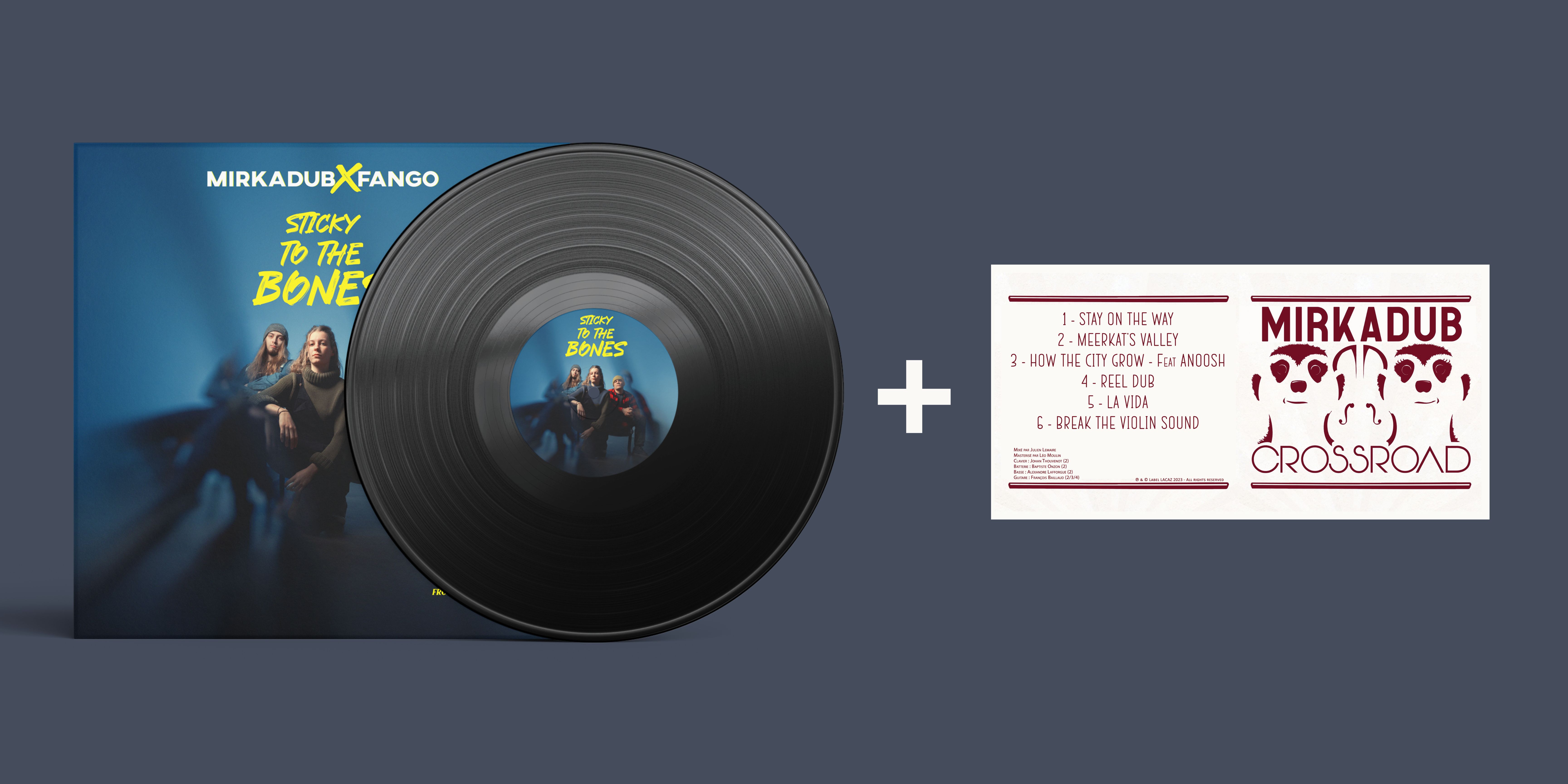 Pré-commande vinyle "STICKY TO THE BONES"