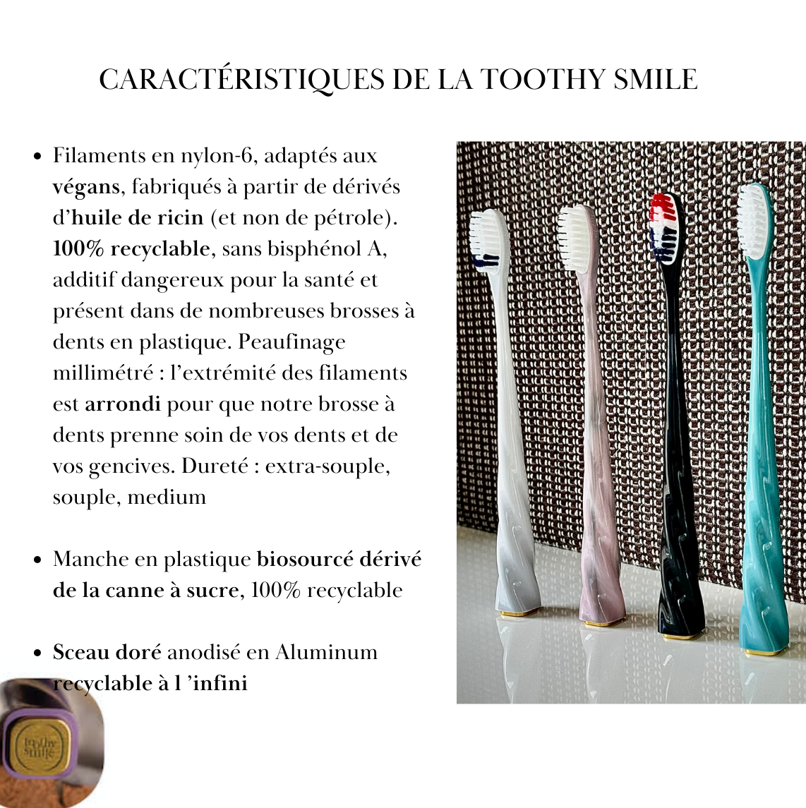 TOOTHY SMILE, l'art de se brosser les dents à vie 🇫🇷 - Ulule