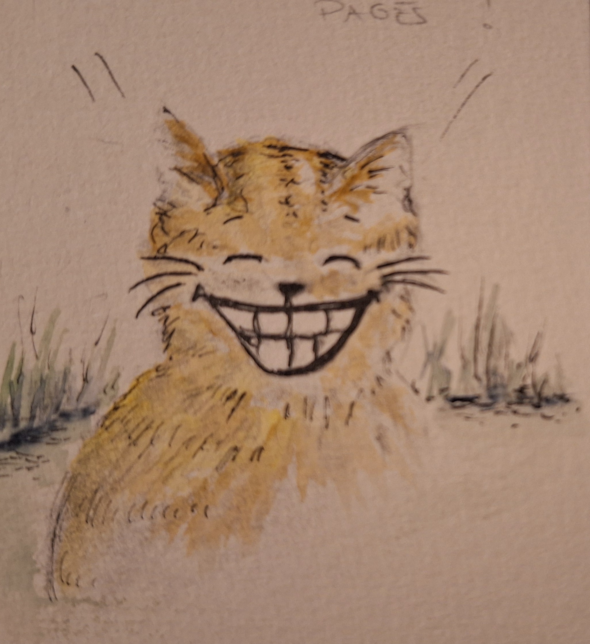 "Chat"commence aujourd'hui - Ulule