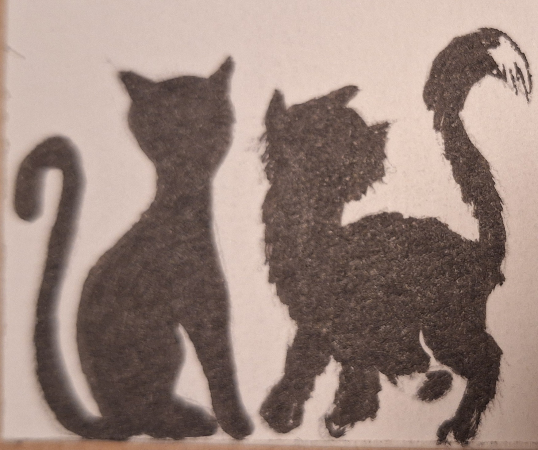 "Chat"commence aujourd'hui - Ulule