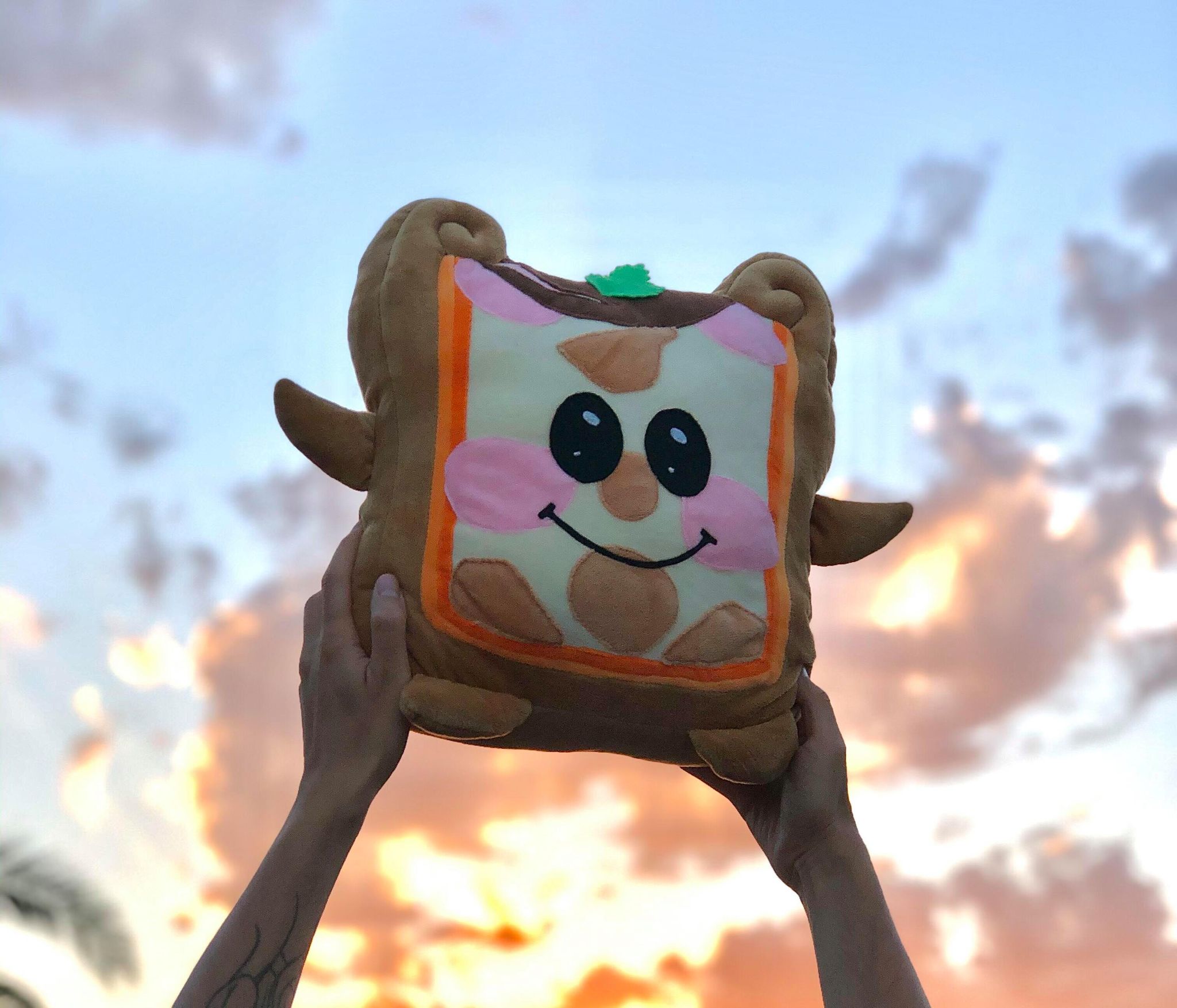 LESAGE Myriam - Ulule