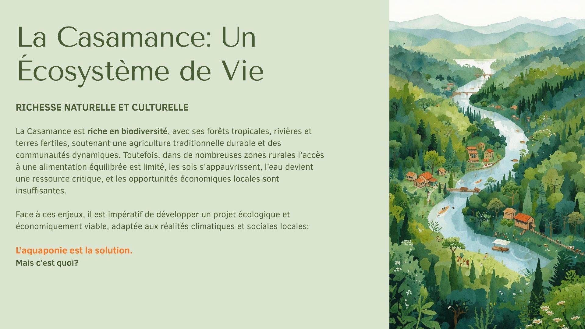 Une ferme aquaponique pour préserver l’eau en Casamance - Ulule