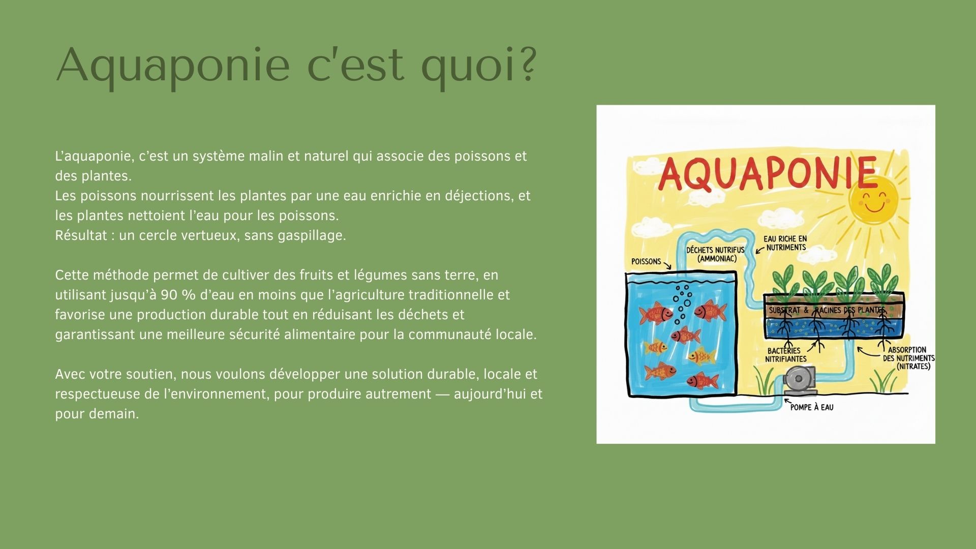 Une ferme aquaponique pour préserver l’eau en Casamance - Ulule