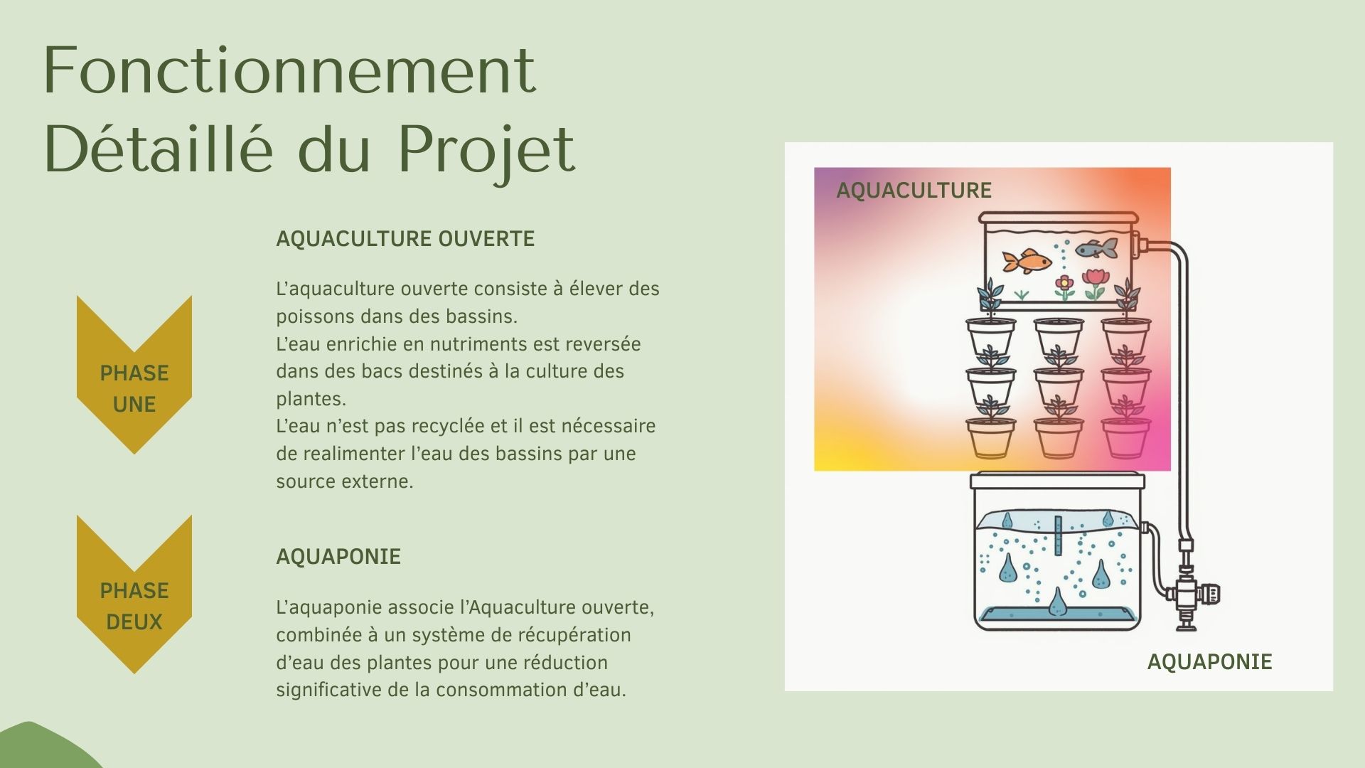 Une ferme aquaponique pour préserver l’eau en Casamance - Ulule