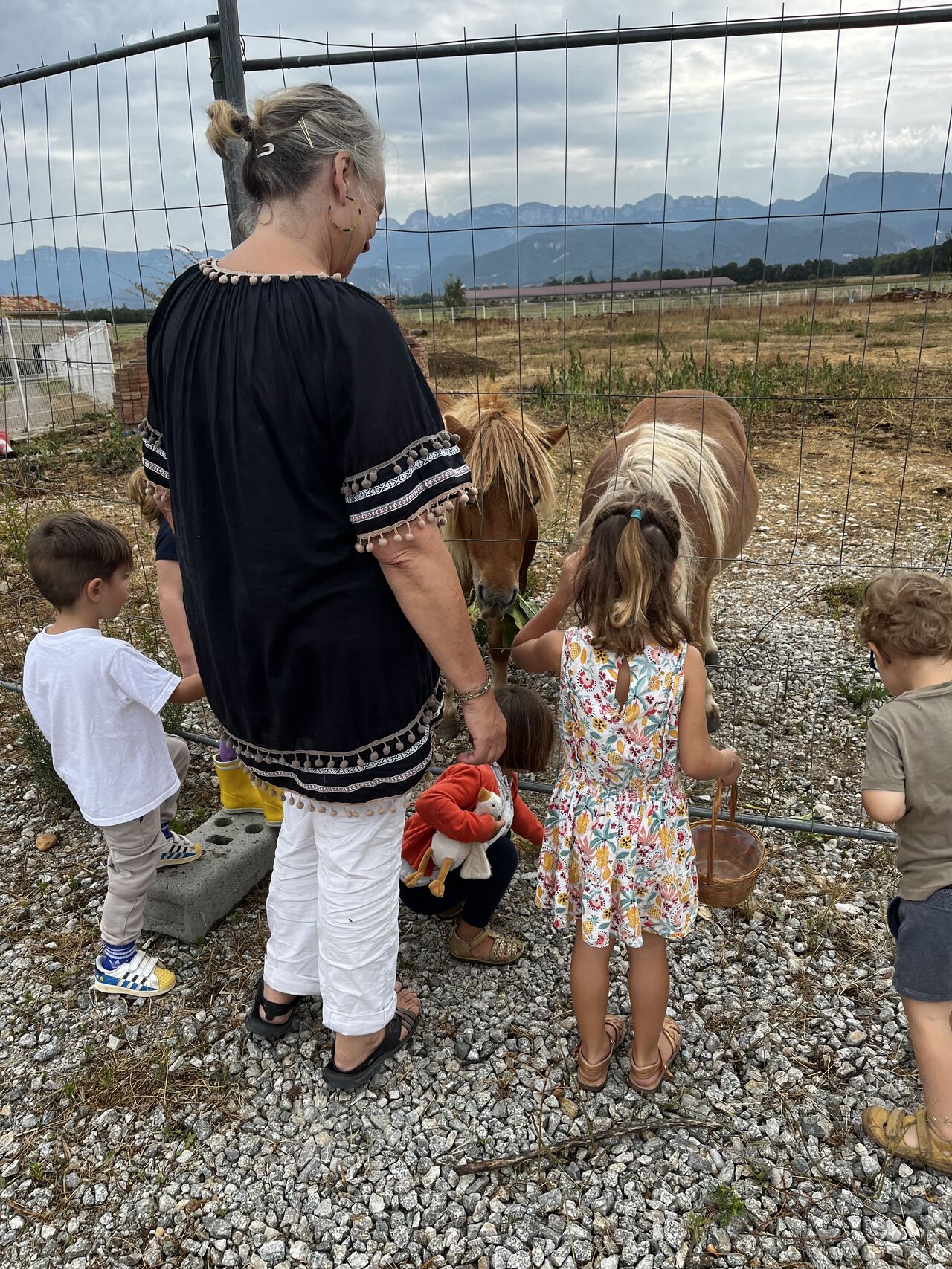 Soutenez la 2ème école de France dans un EHPAD (Besayes) - Ulule