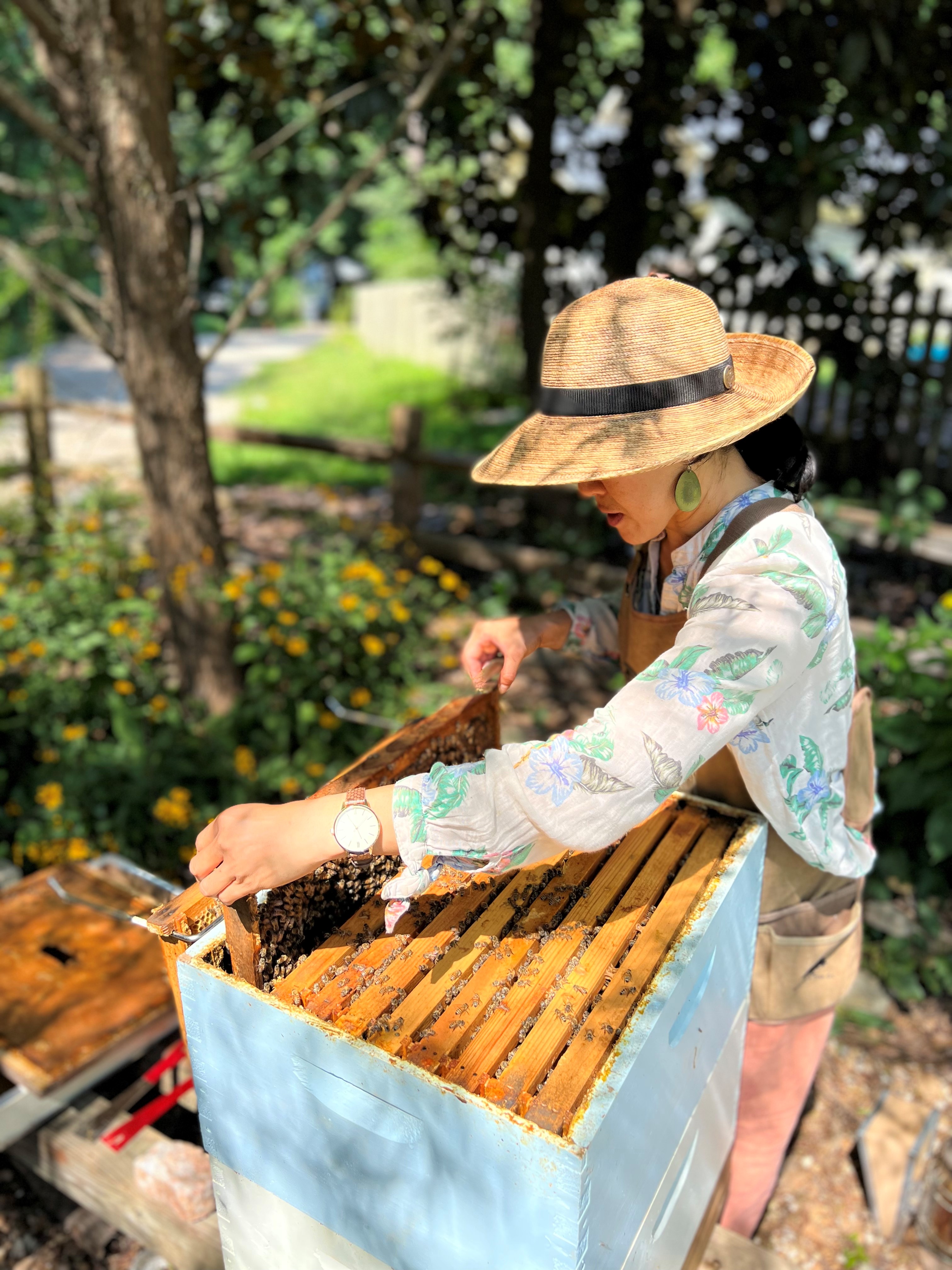 Gondwana Learning Garden - Ulule