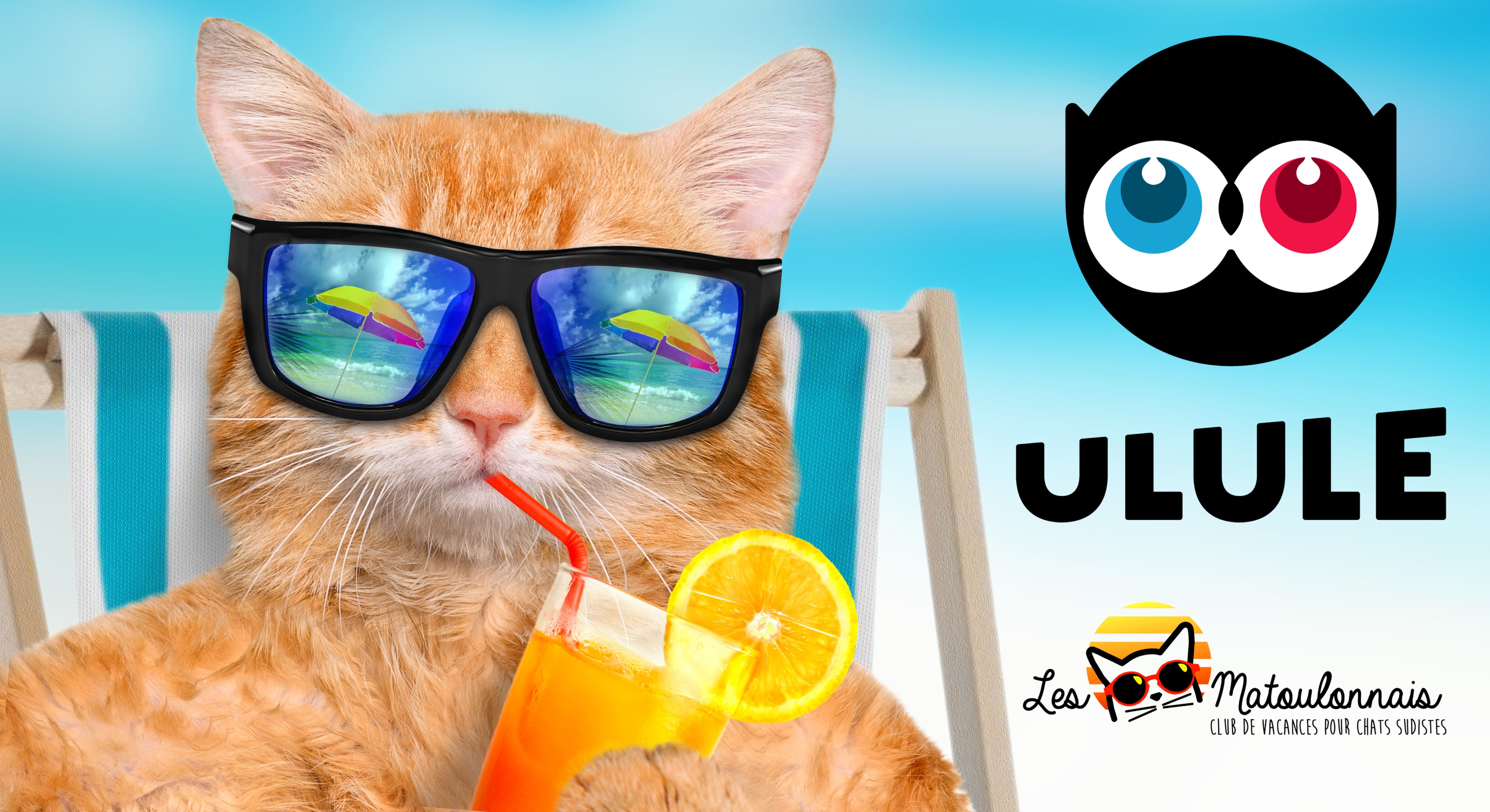 Lilian D'Hondt - Ulule